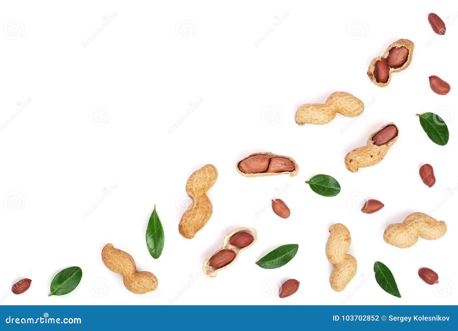 Peanuts with Shells Isolated on White Background with Copy Space for ...