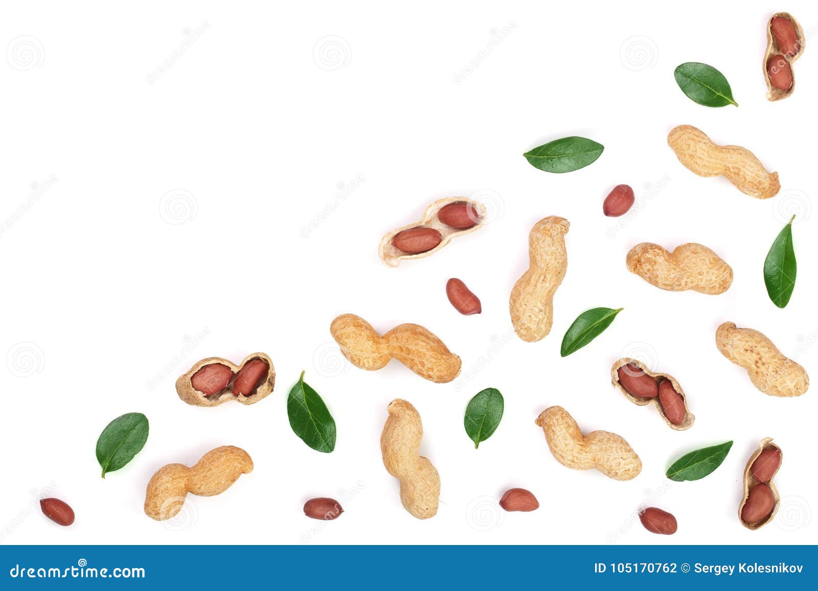 Peanuts with Shells Isolated on White Background with Copy Space for ...