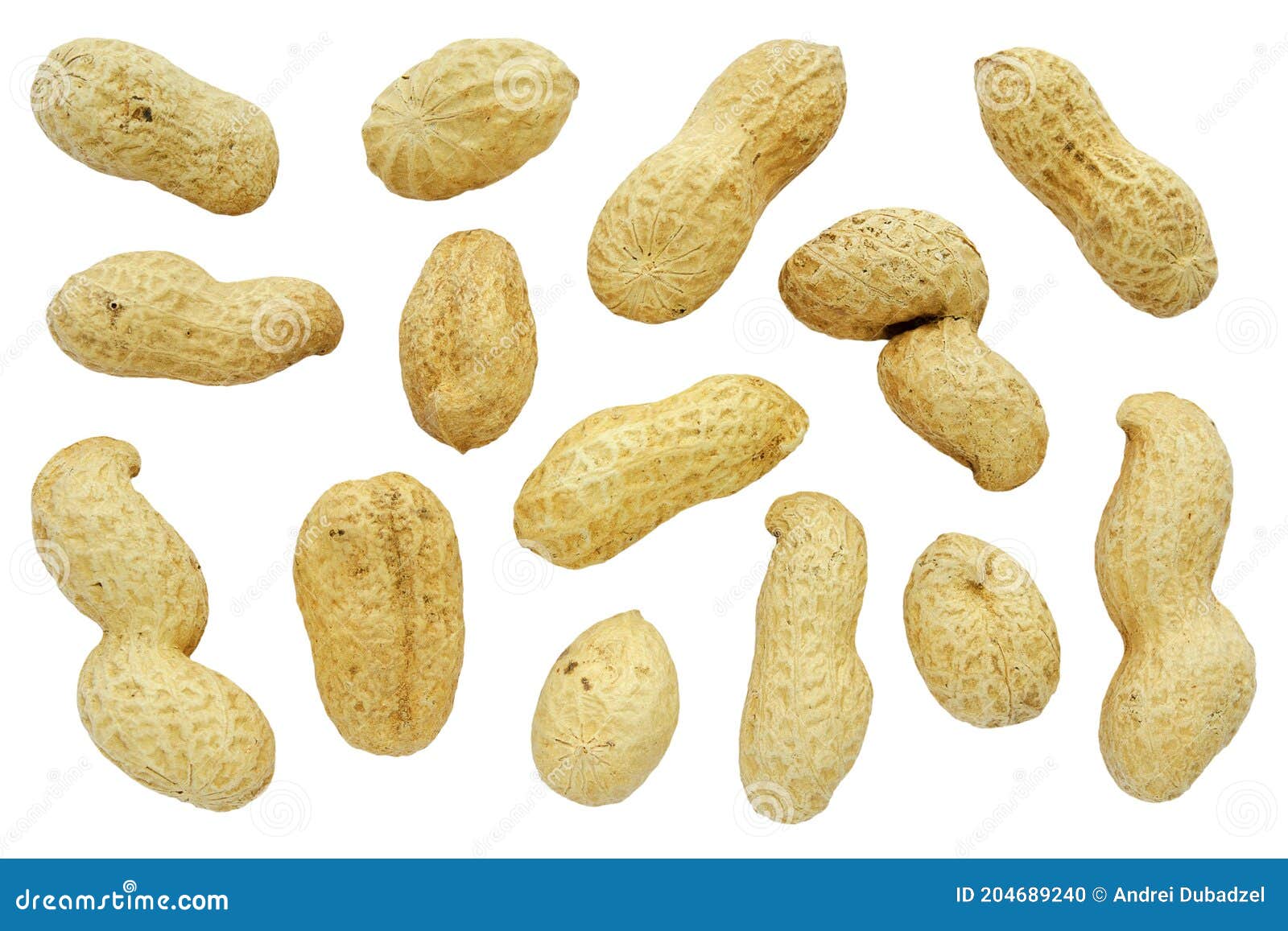 Peanuts In Shells Isolated On White Background, Top View. Isolated ...