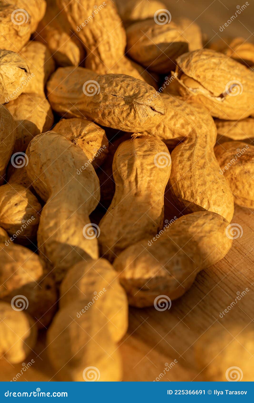 Peanuts in Shells. Roasted in the Shell Peanuts Stock Image - Image of ...