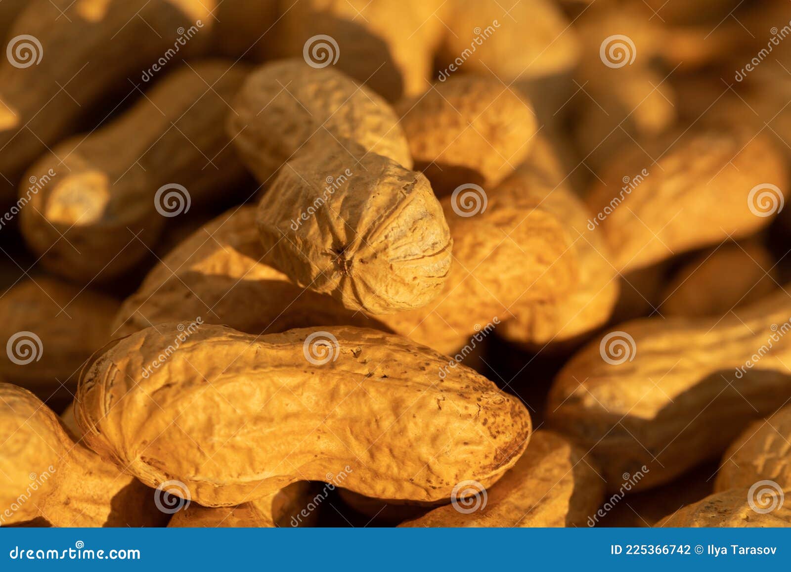 Peanuts in Shells. Roasted in the Shell Peanuts Stock Photo - Image of ...