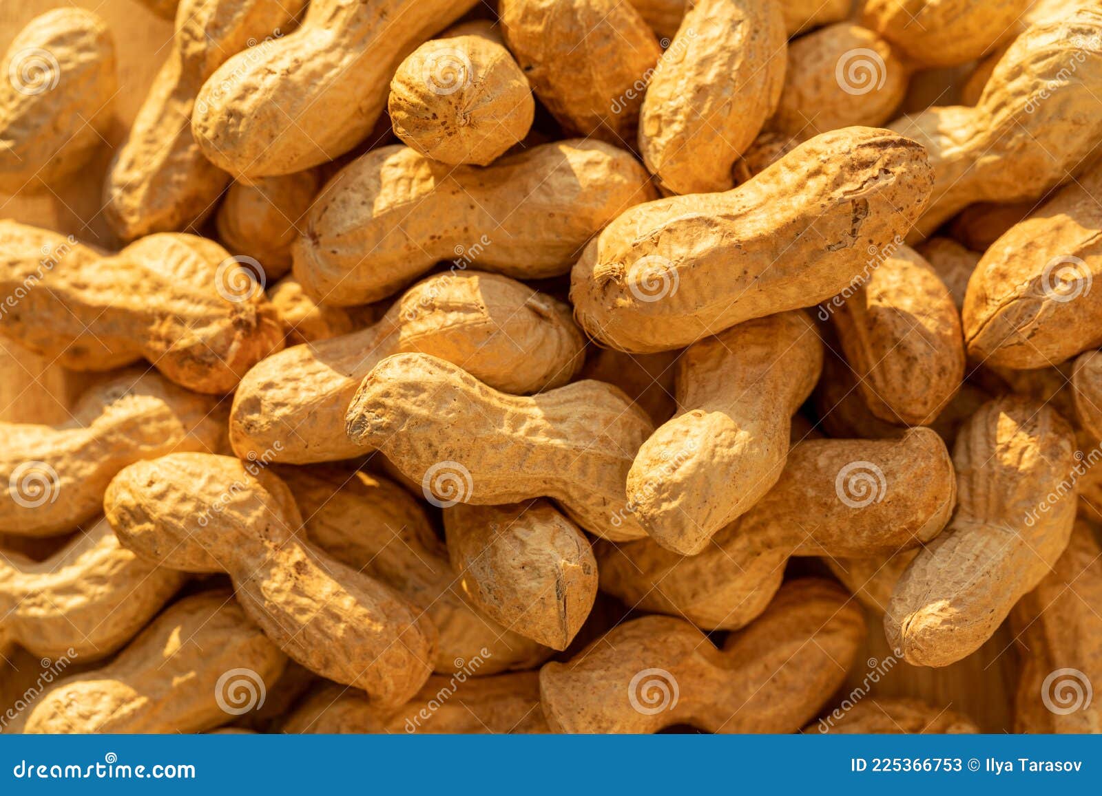Peanuts in Shells. Roasted in the Shell Peanuts Stock Image - Image of ...