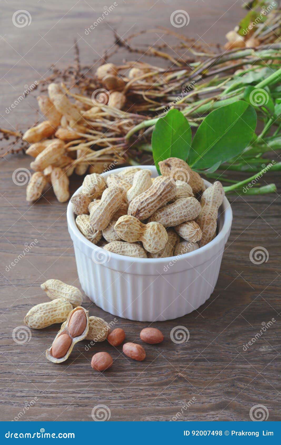 Peanuts in shells stock photo. Image of horticulture - 92007498