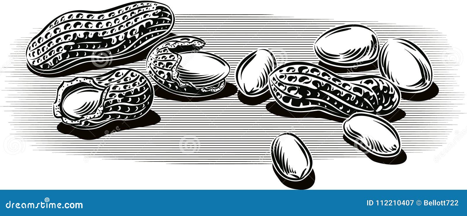 Peanuts, Some without Shell. Stock Illustration - Illustration of white ...