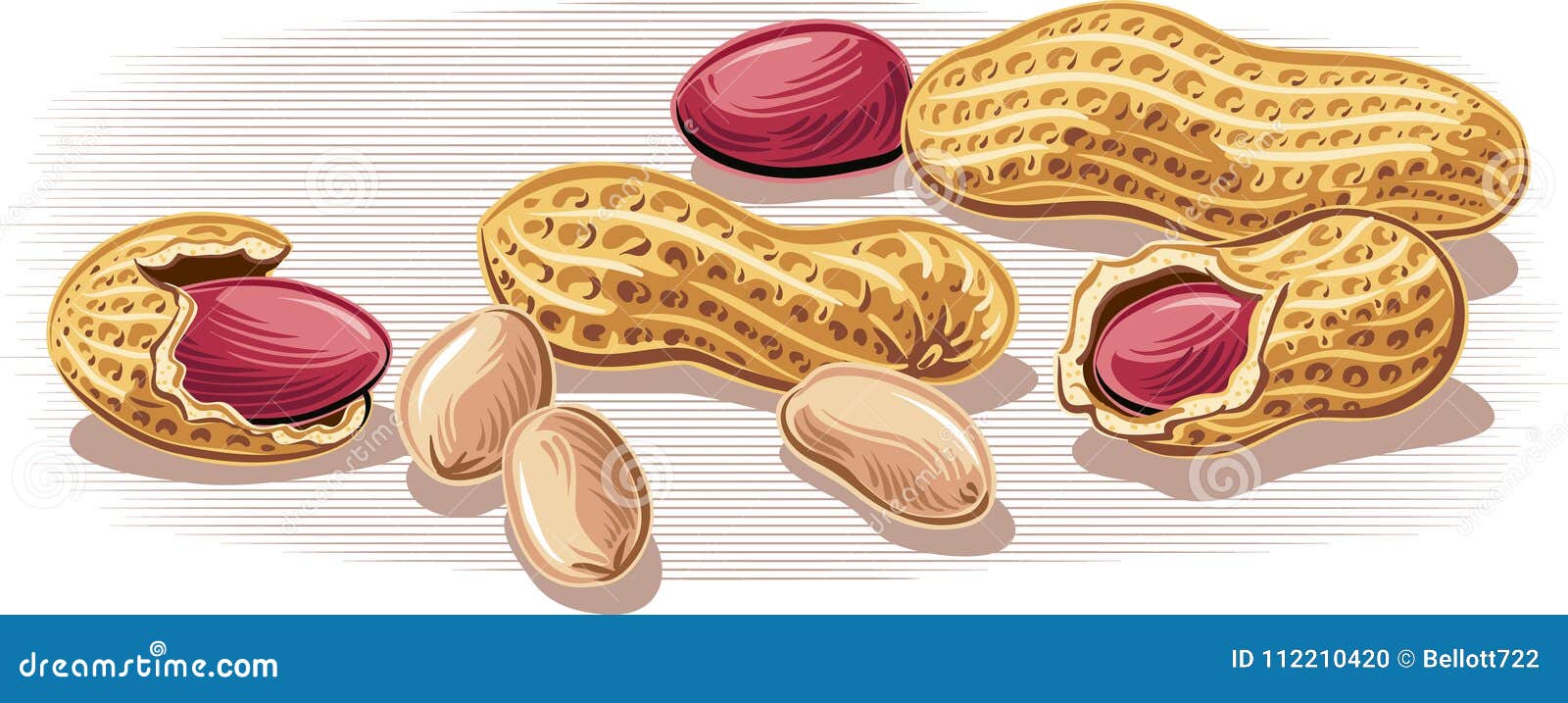 Peanuts, Some without Shell Stock Vector - Illustration of table ...