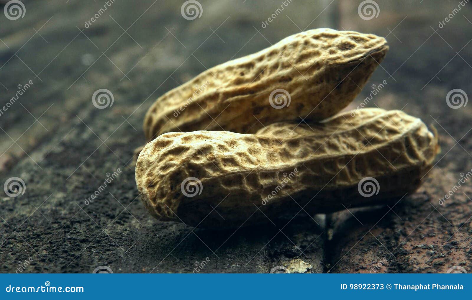 Peanut stock image. Image of reptile, rattlesnake, serpent - 98922373