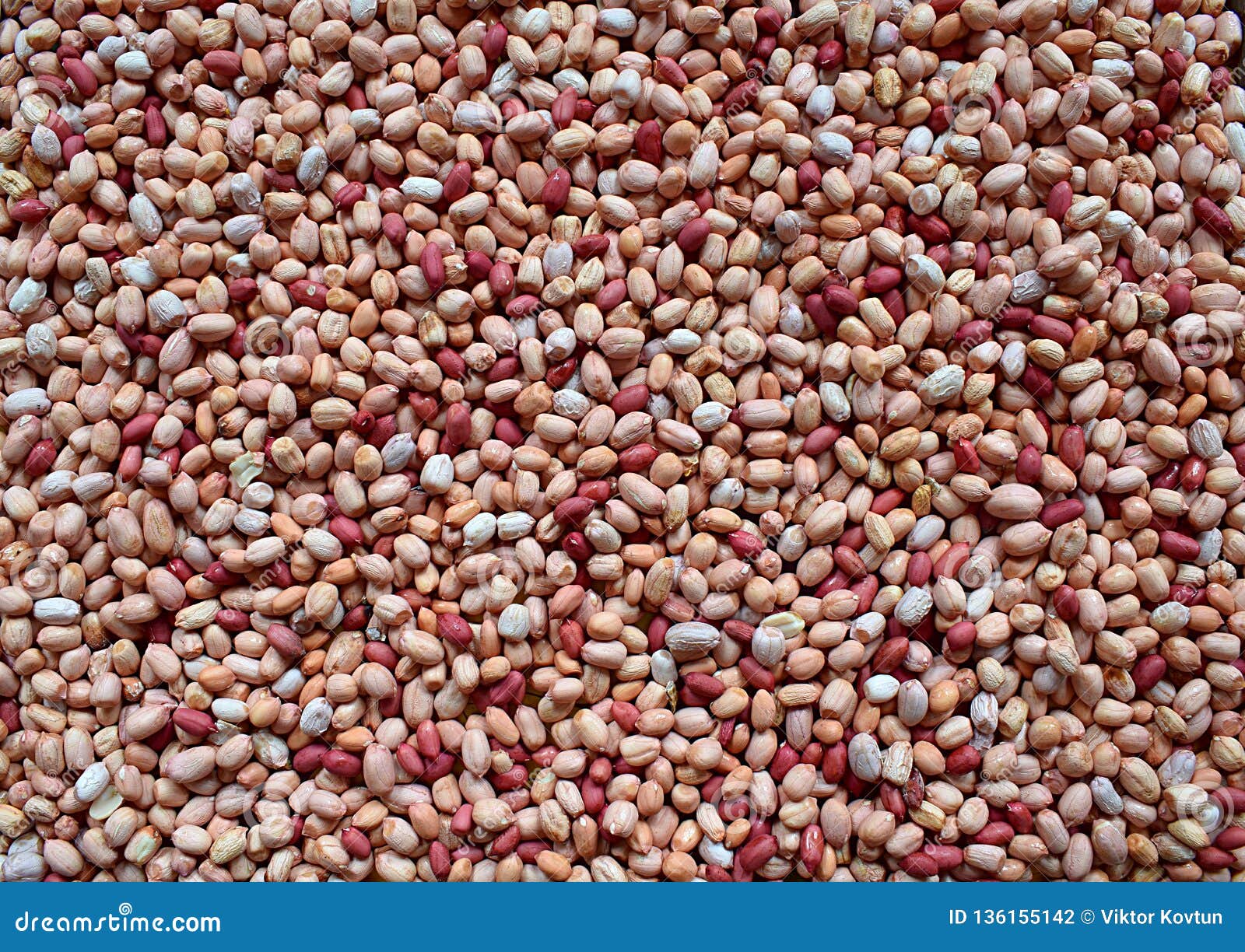 Peanuts of Various Varieties on the Plane Stock Photo - Image of ...
