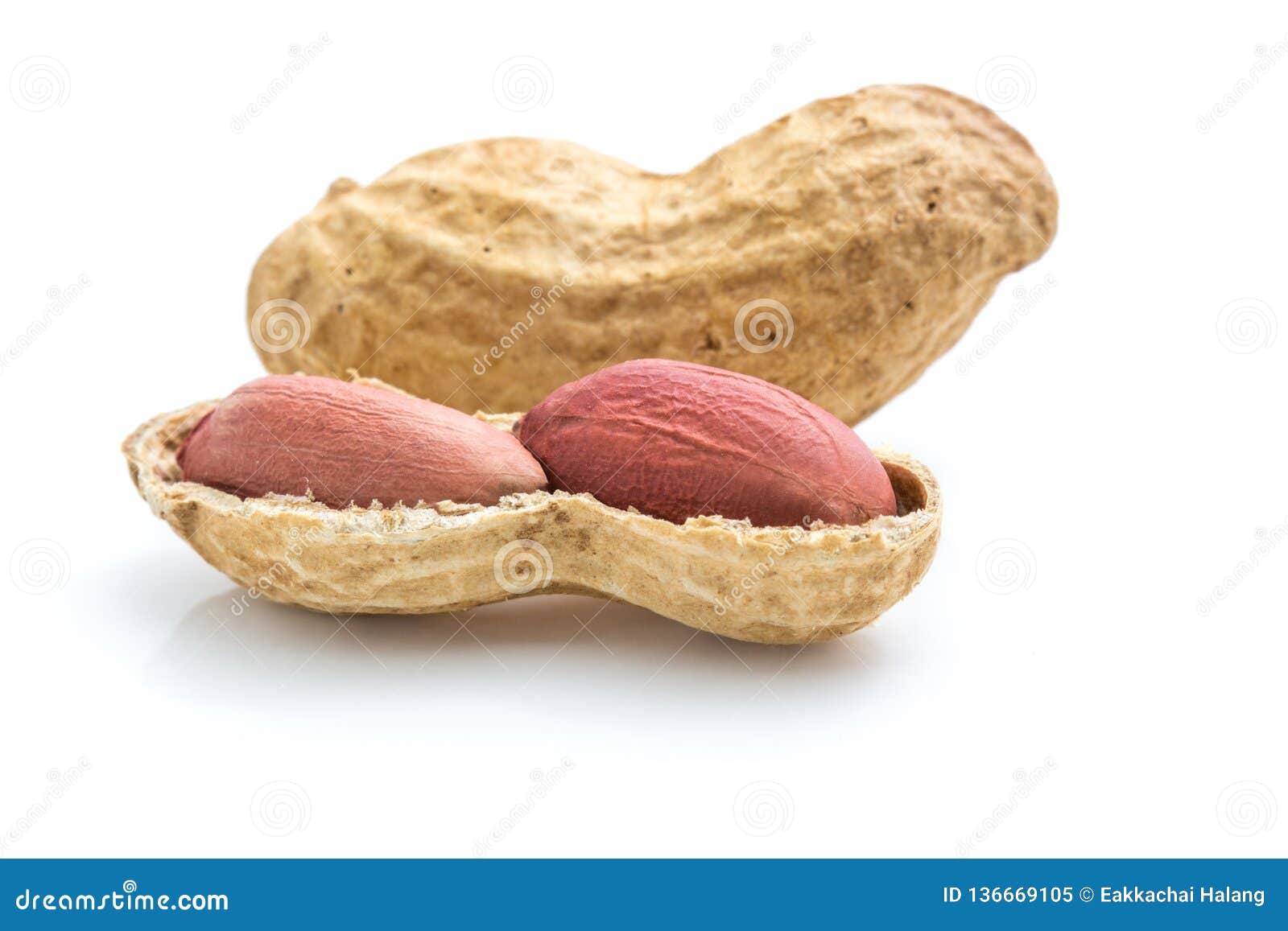 Peanuts on White Background Stock Image - Image of object, roasted ...