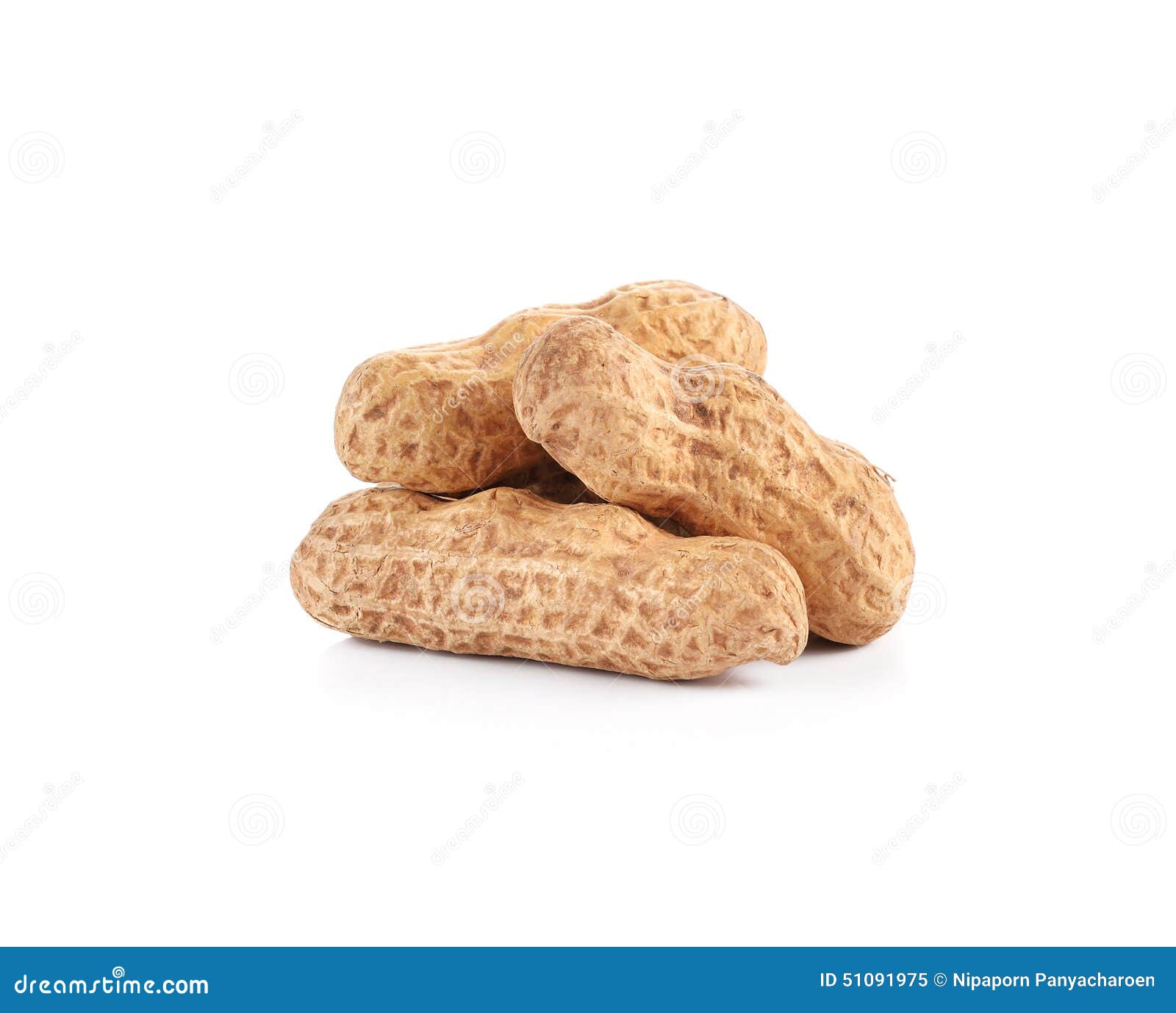 Peanuts on White Background Stock Image - Image of protein, organic ...