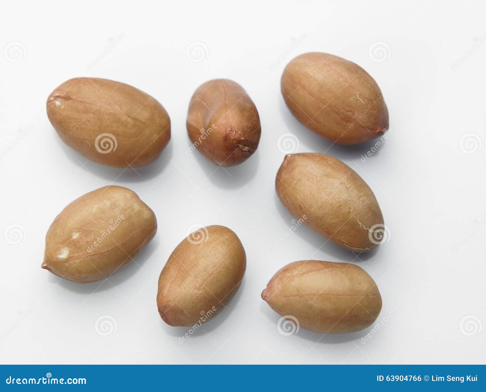 Peanuts stock photo. Image of peanut, organic, white - 63904766