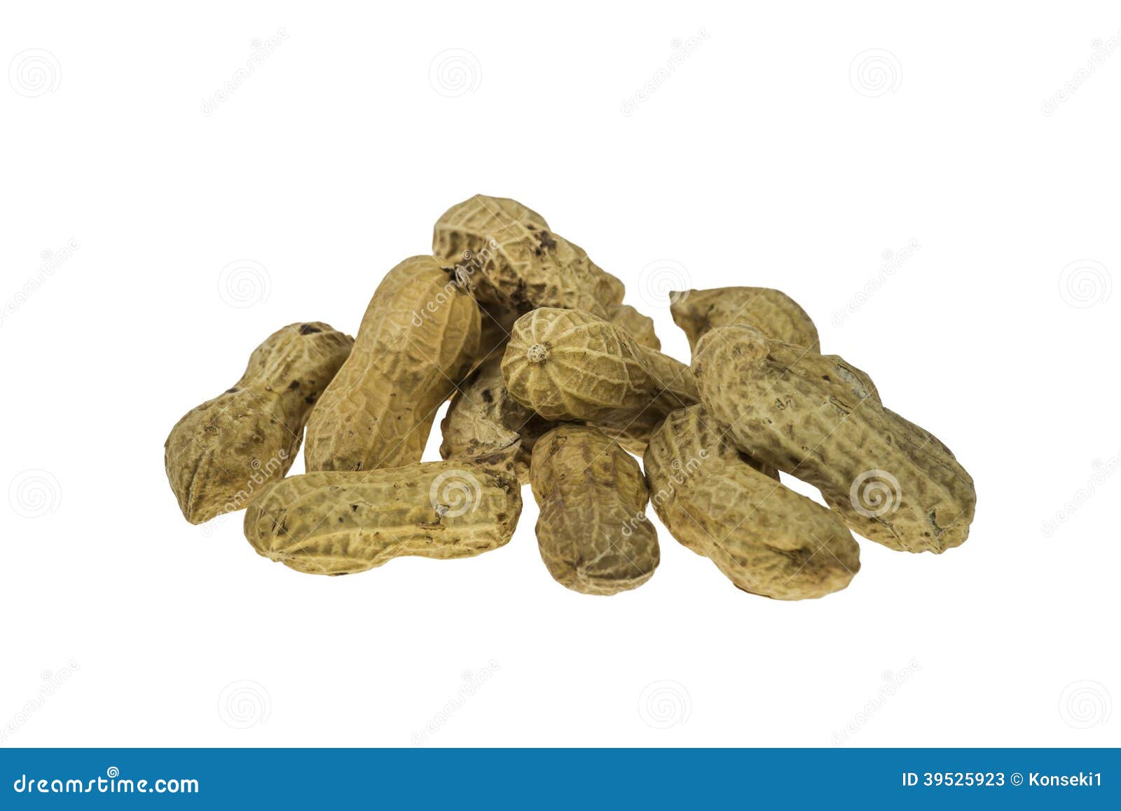 Peanuts on the White Background Stock Image - Image of macro ...