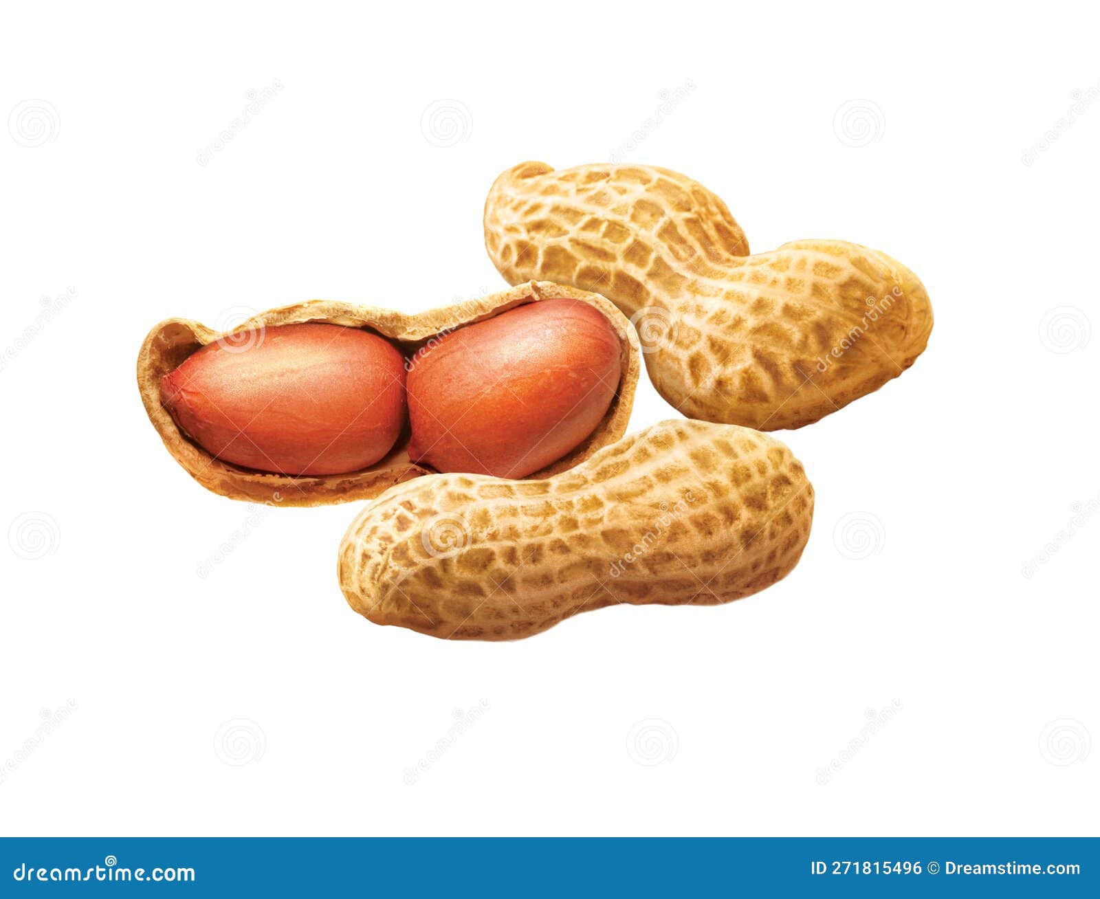 Peanuts on White Background Stock Illustration - Illustration of seed ...