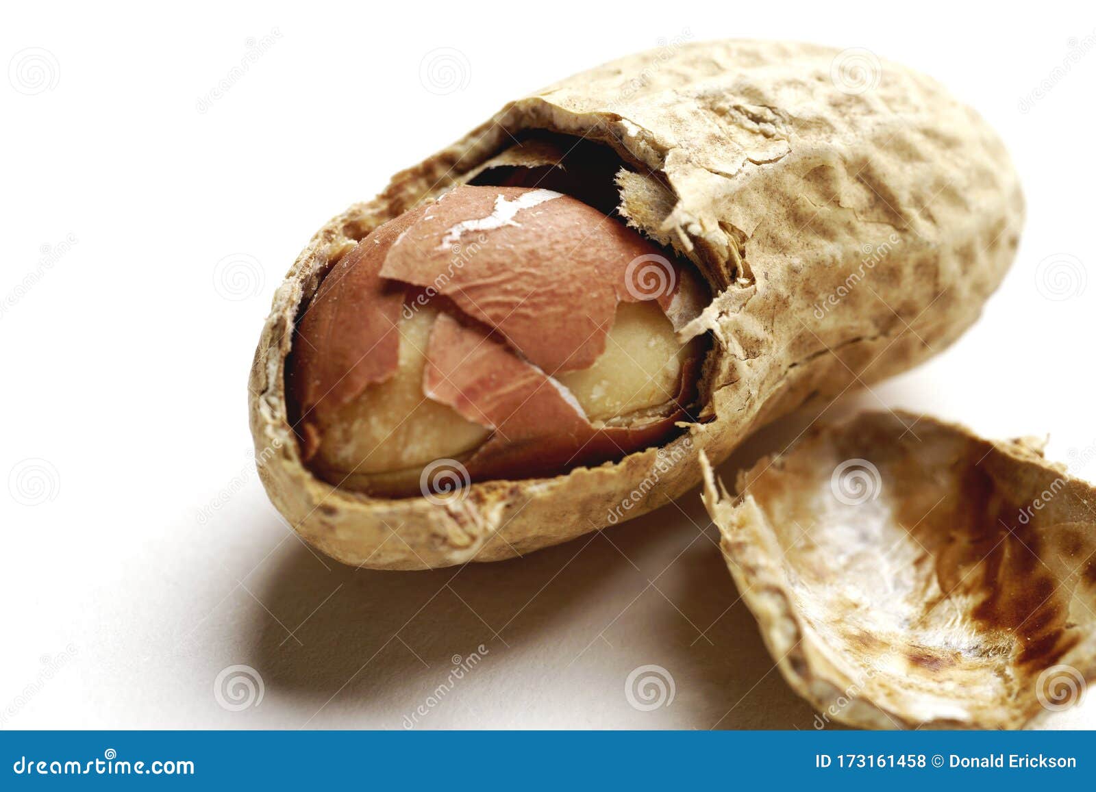 Peanut with Broken Shell stock photo. Image of kernel - 173161458