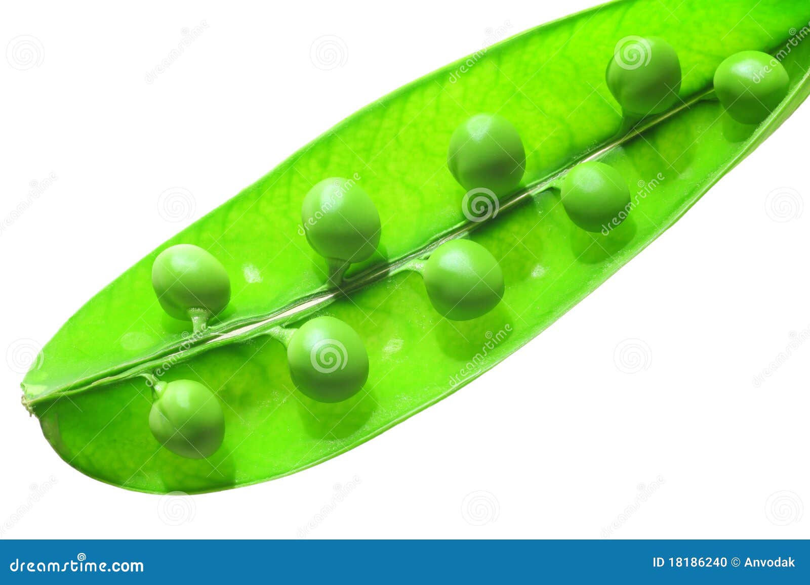 Peapod Stock Photo - Image: 18186240