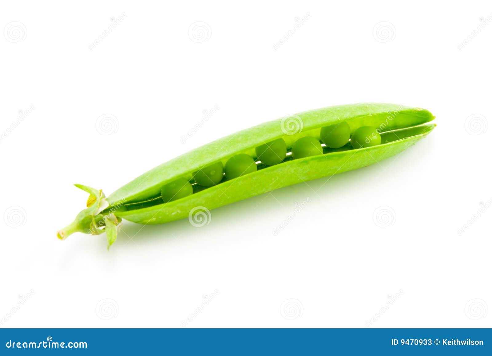 Peapod stock image. Image of healthy, closeup, ingredient - 9470933