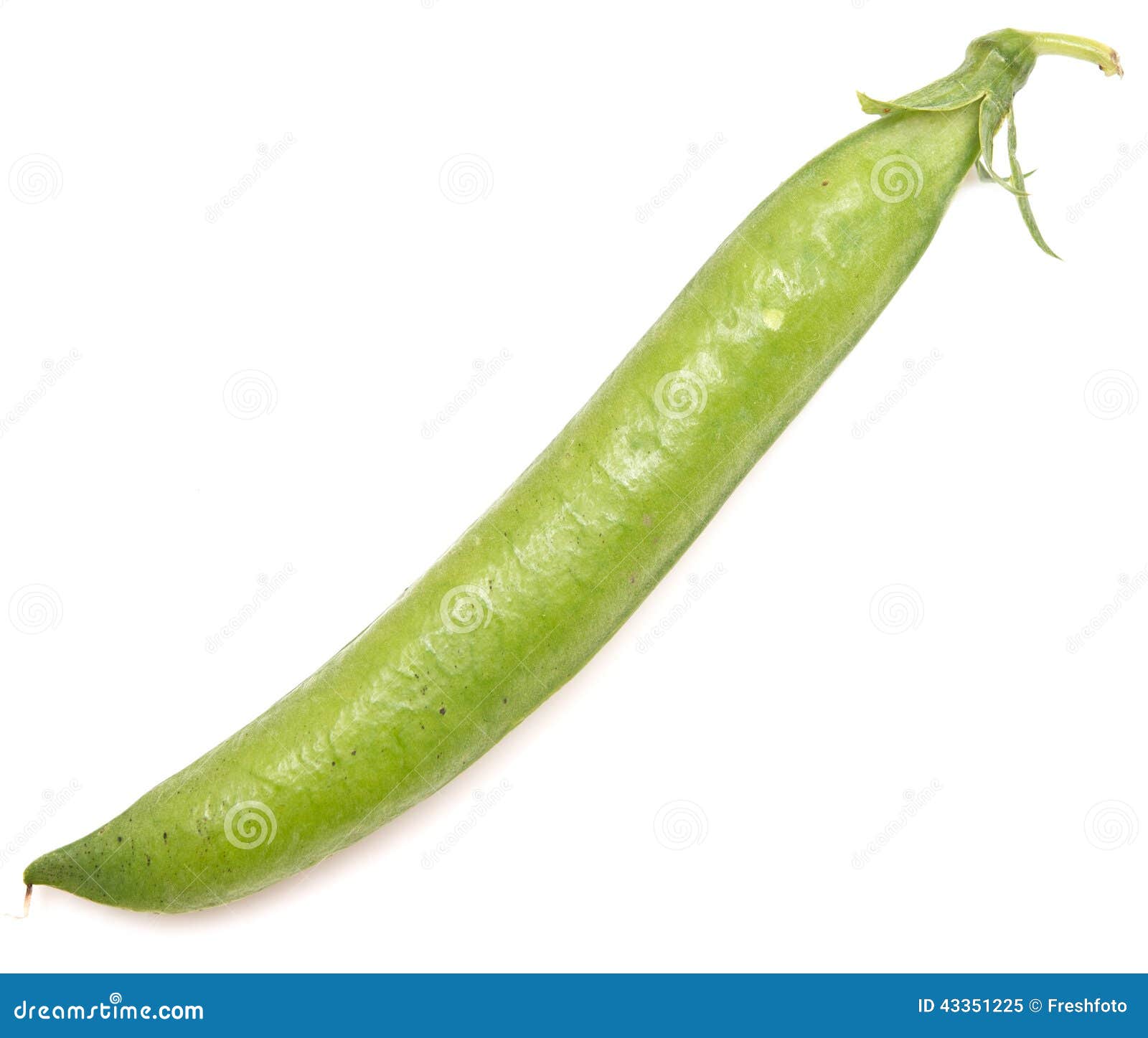 Peapod stock image. Image of open, plant, gourmet, green - 43351225