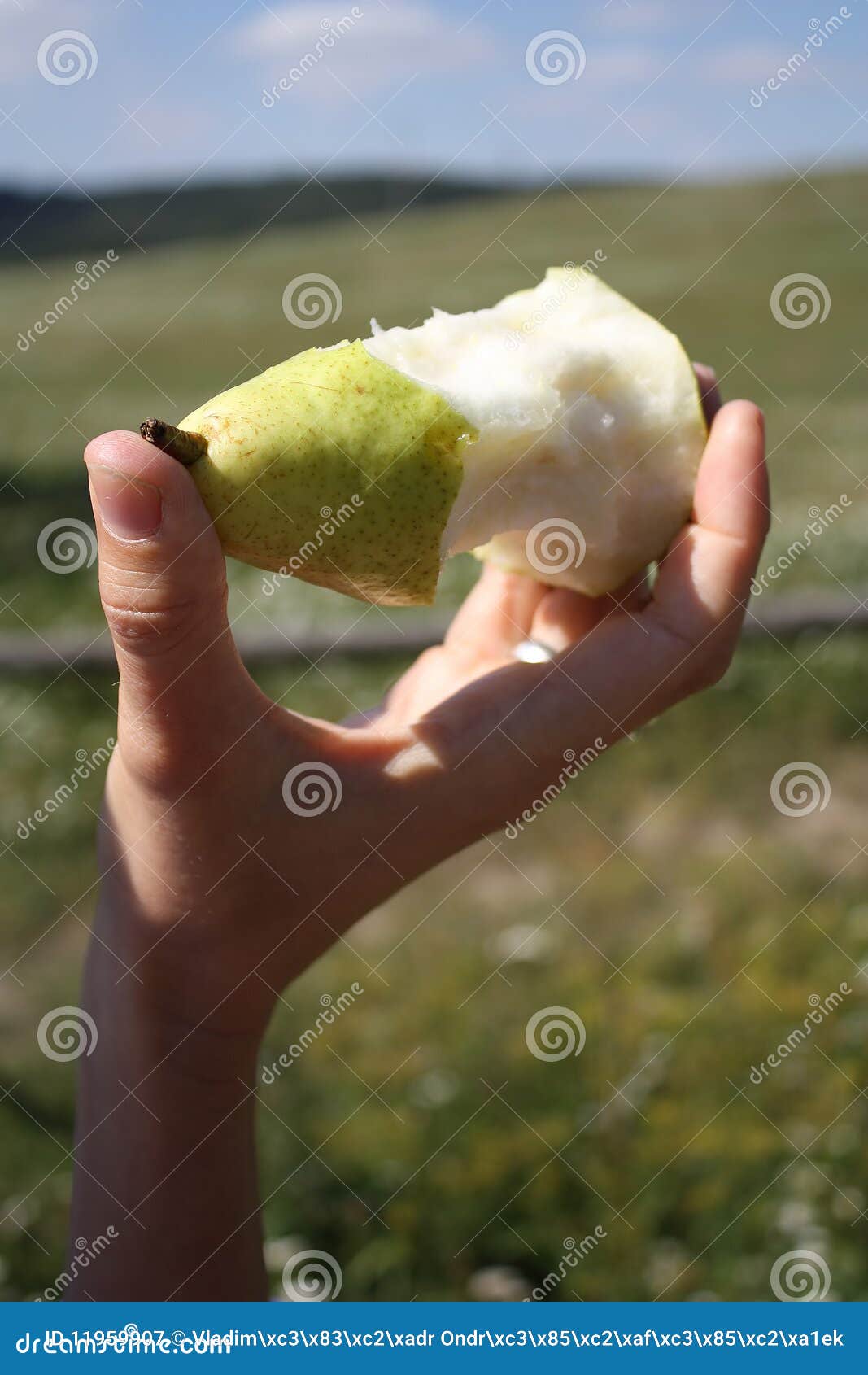 Pear stock image. Image of freshness, juicy, single, pear - 11959907