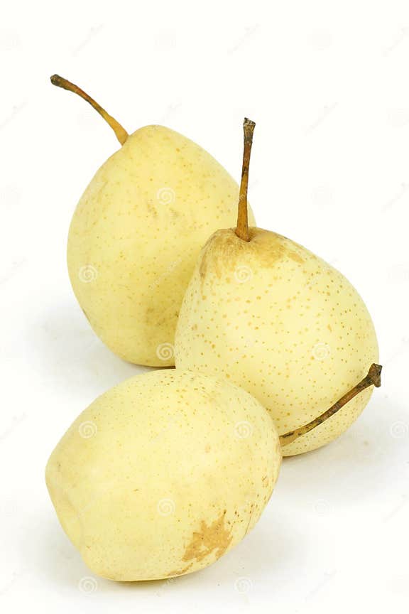 Pear stock image. Image of packham, sweet, healthy, flavour - 12586907