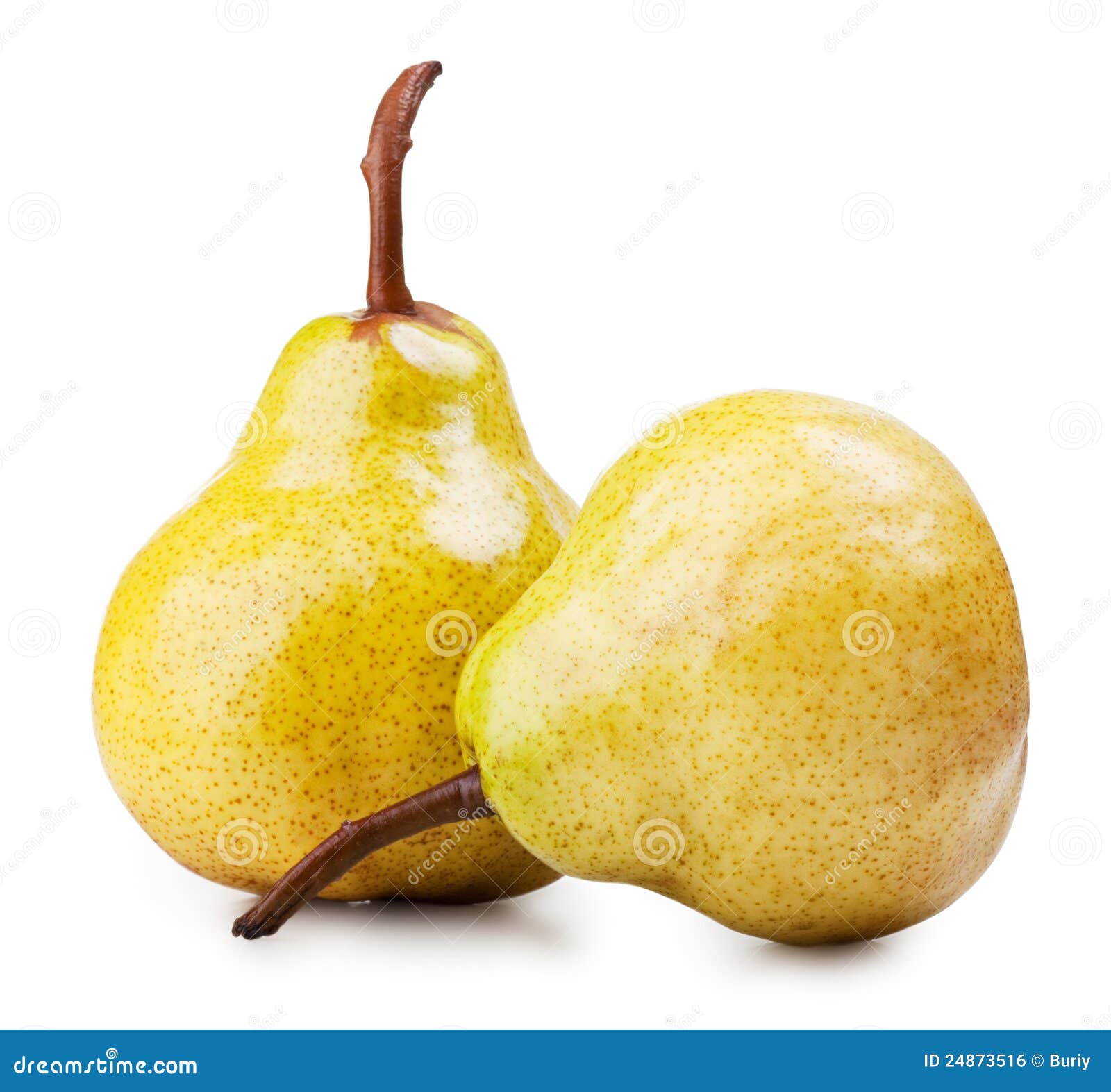 Pear stock photo. Image of color, delicious, closeup - 24873516