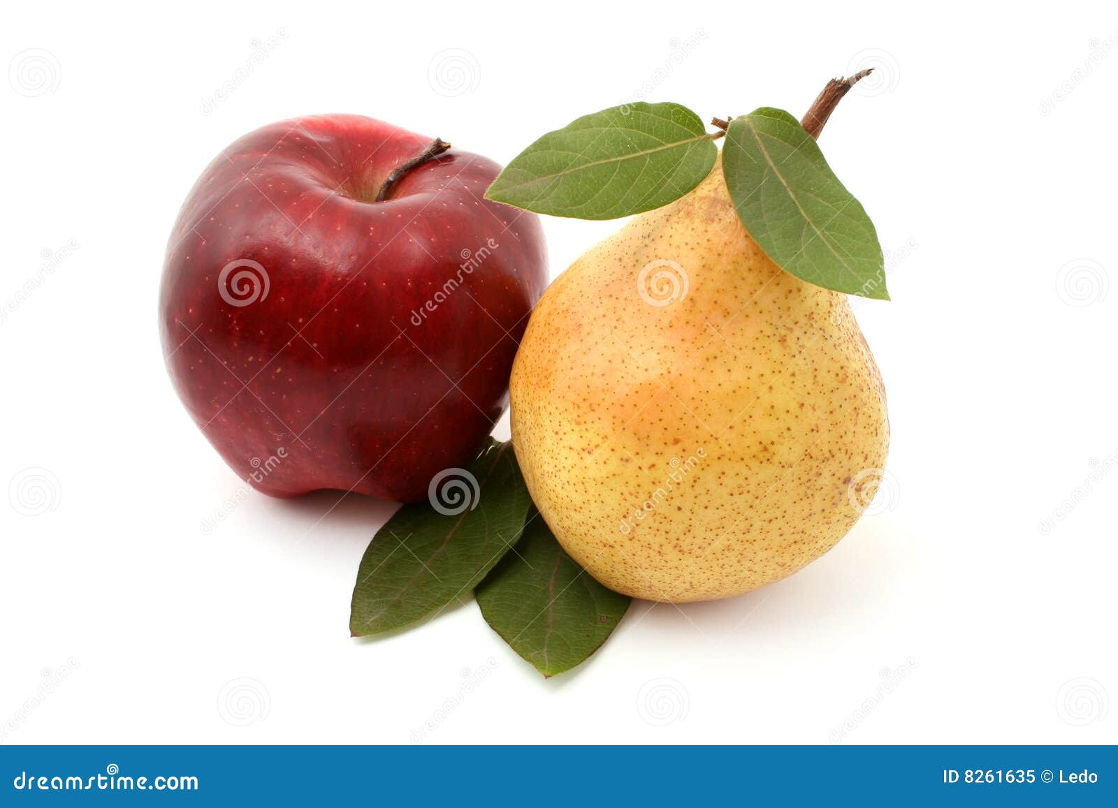 Pear and apple stock image. Image of isolated, pears, fresh - 8261635