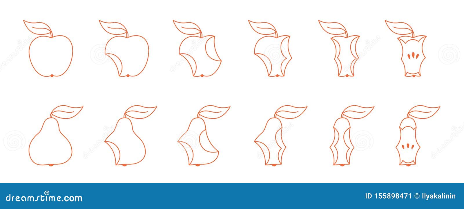 Pear And Apple Bite Stage Set. From Whole To Core Gradual Decrease ...