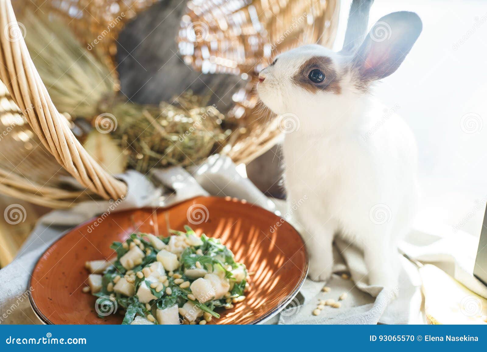 Pear and Arugula Salad with Pine Nuts Near the Beautiful White Rabbit ...