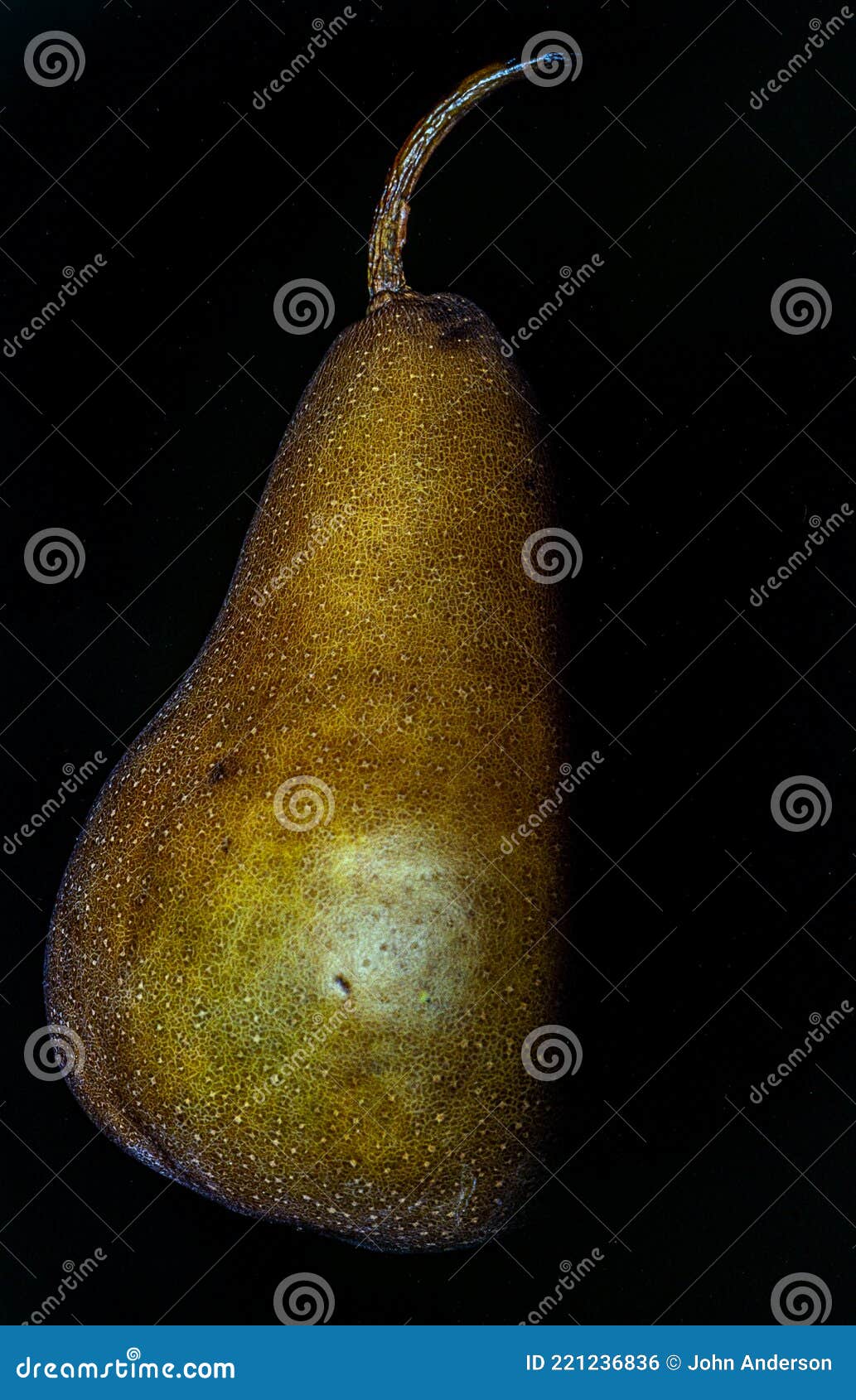 Pear on black background stock photo. Image of teasty - 221236836
