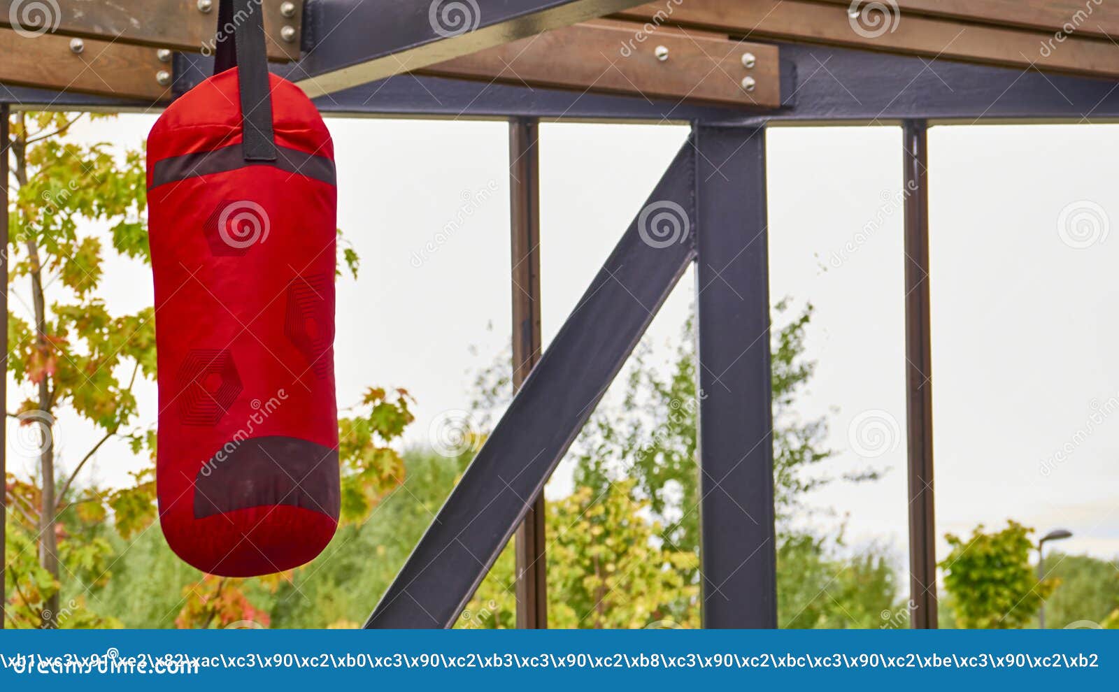 Pear for Boxing in Open Workout. General Plan. Color Nature Stock ...