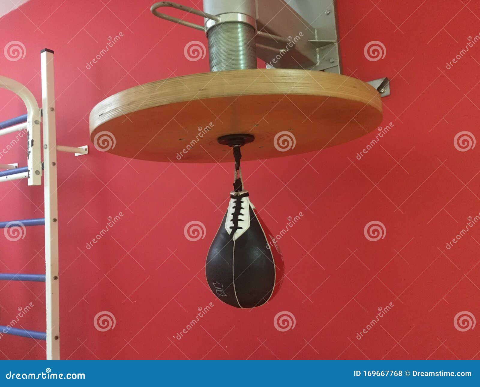 A Pneumatic Boxer Pear Hangs in a Sporting Hall Stock Photo - Image of ...