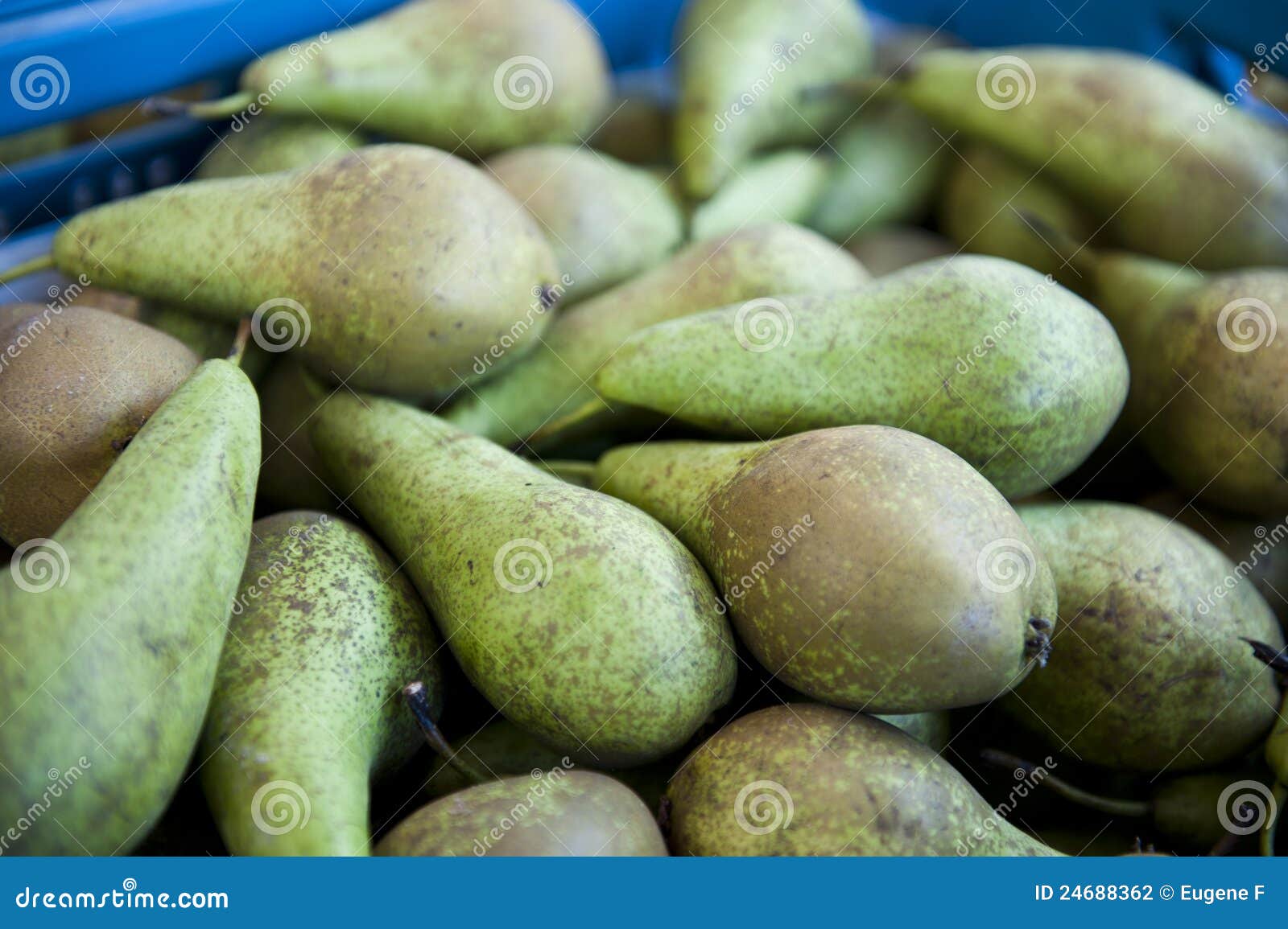 Pear Bunch stock photo. Image of brown, food, pick, fresh - 24688362