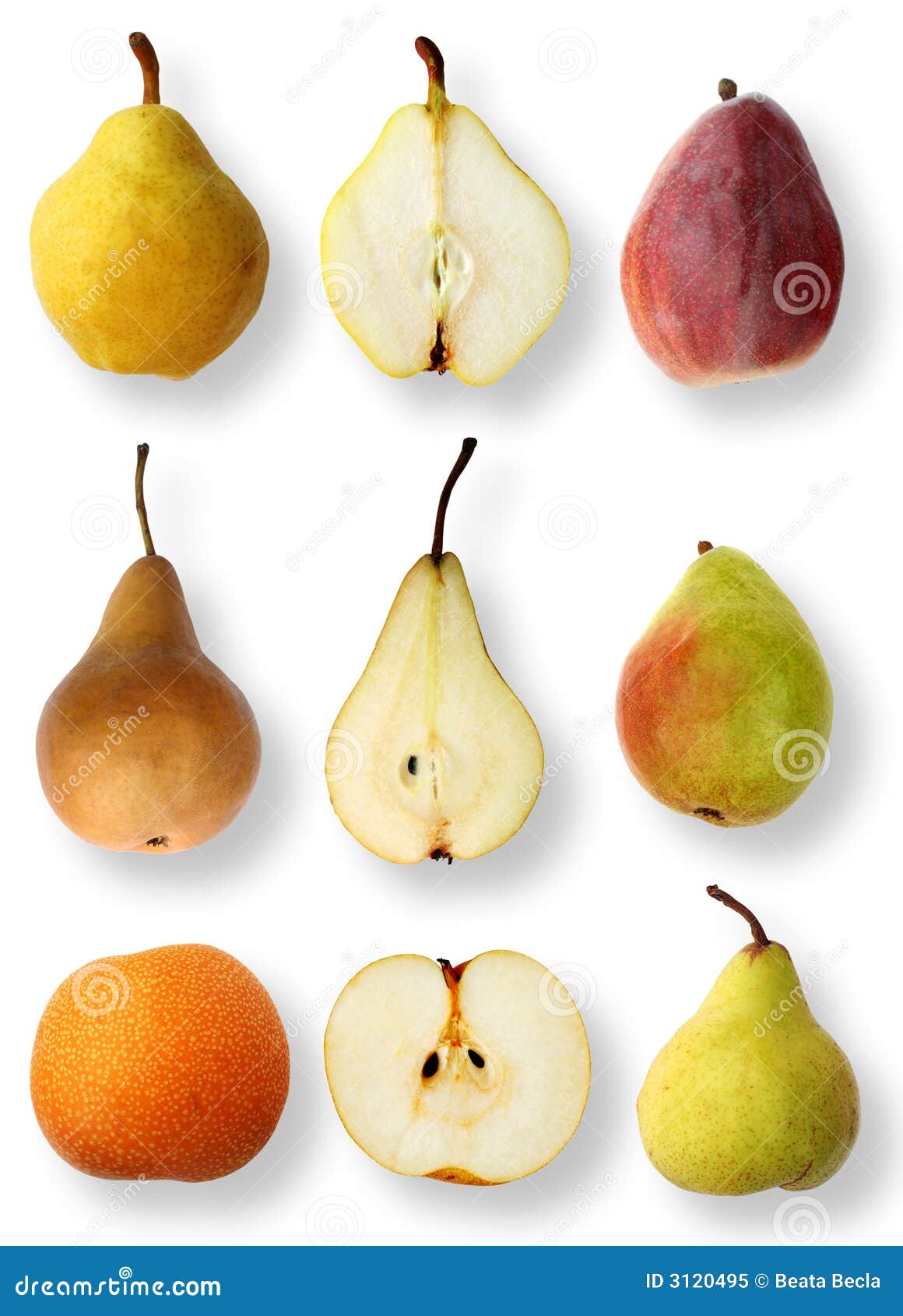 Pear collection stock image. Image of gourmet, vegetarian - 3120495