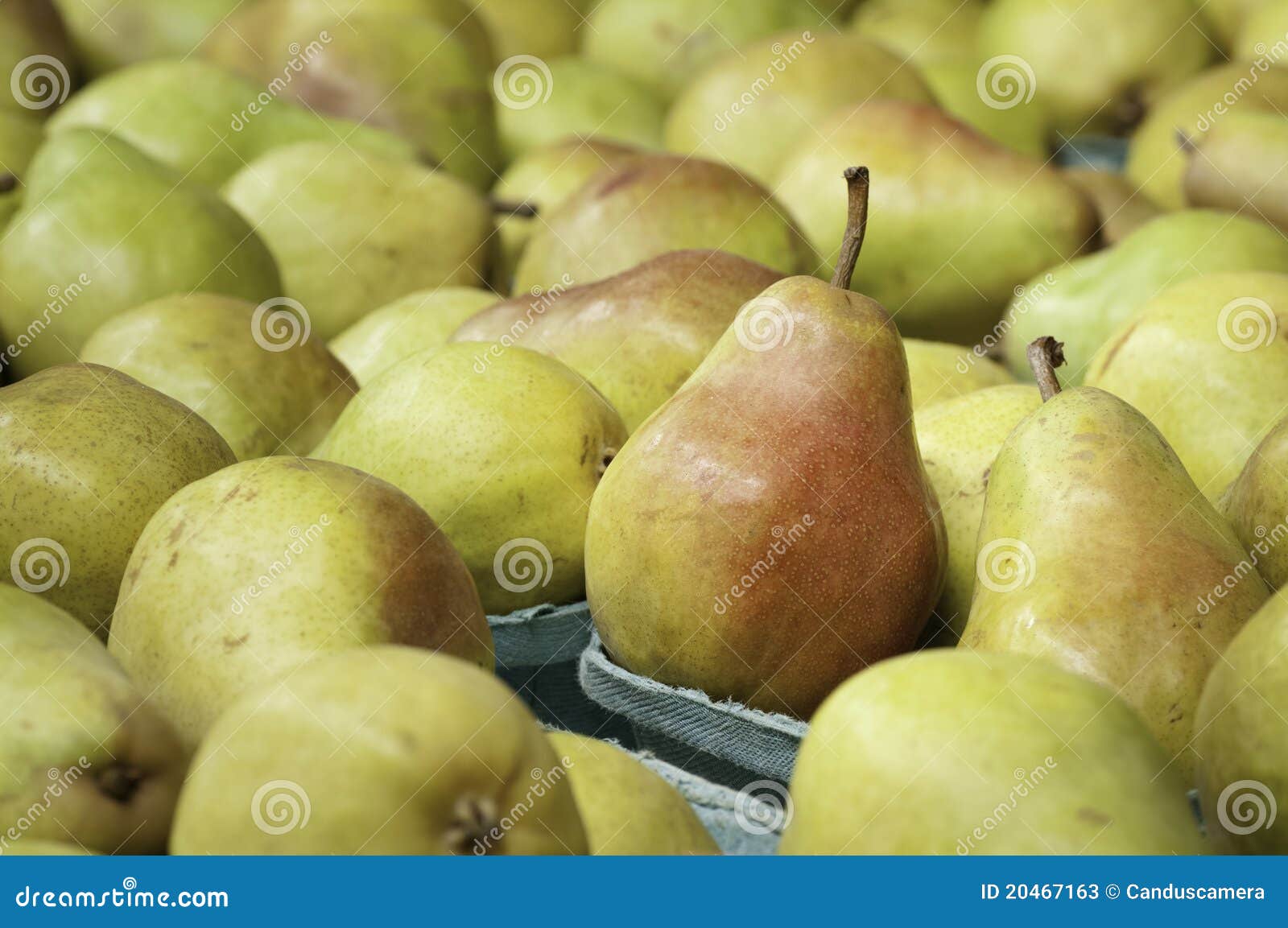 Pear Display in Farmer S Market Stock Image - Image of market, autumn ...
