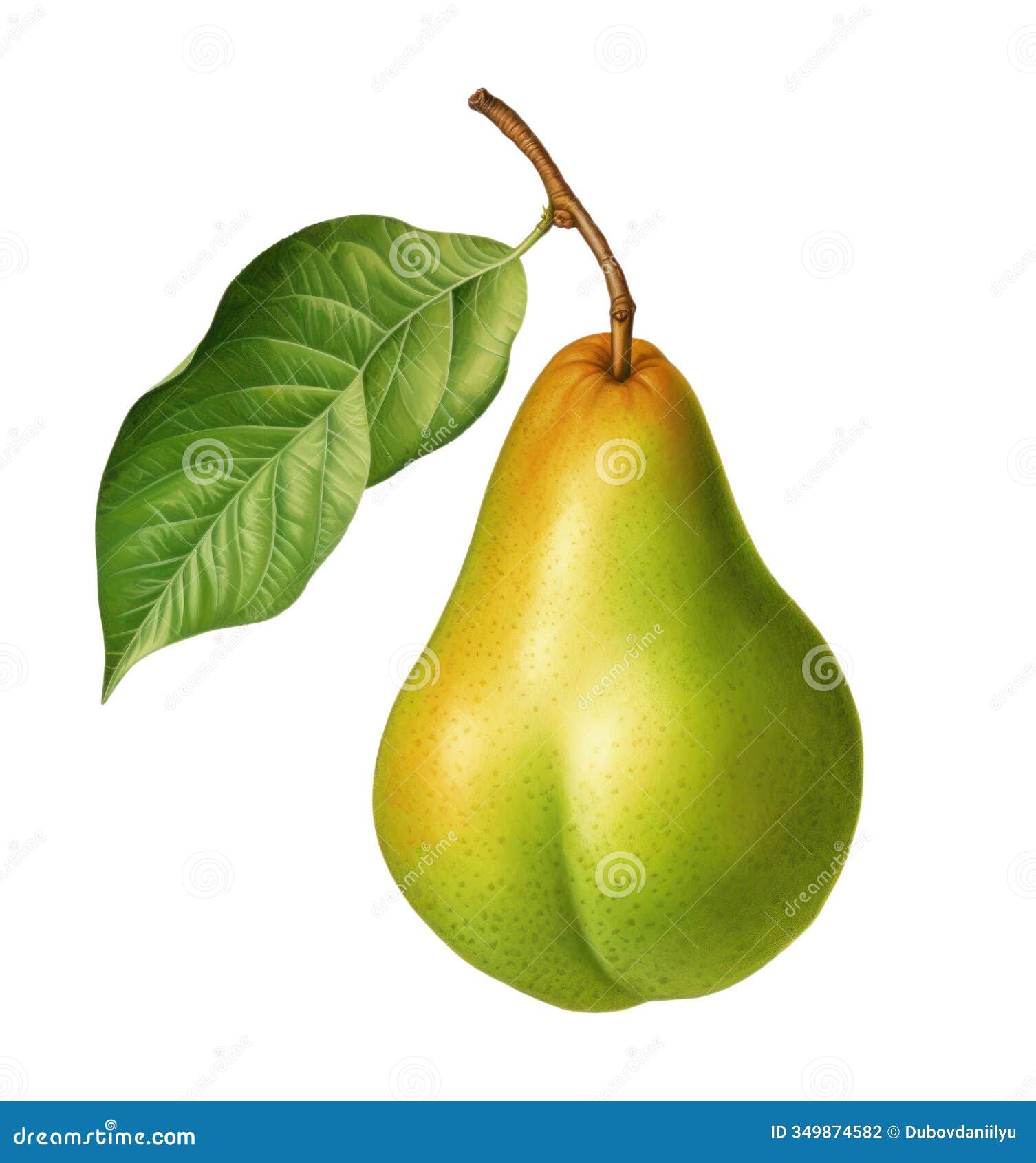 Pear Drawing on a Transparent Background in PNG Format, Ideal for Use ...