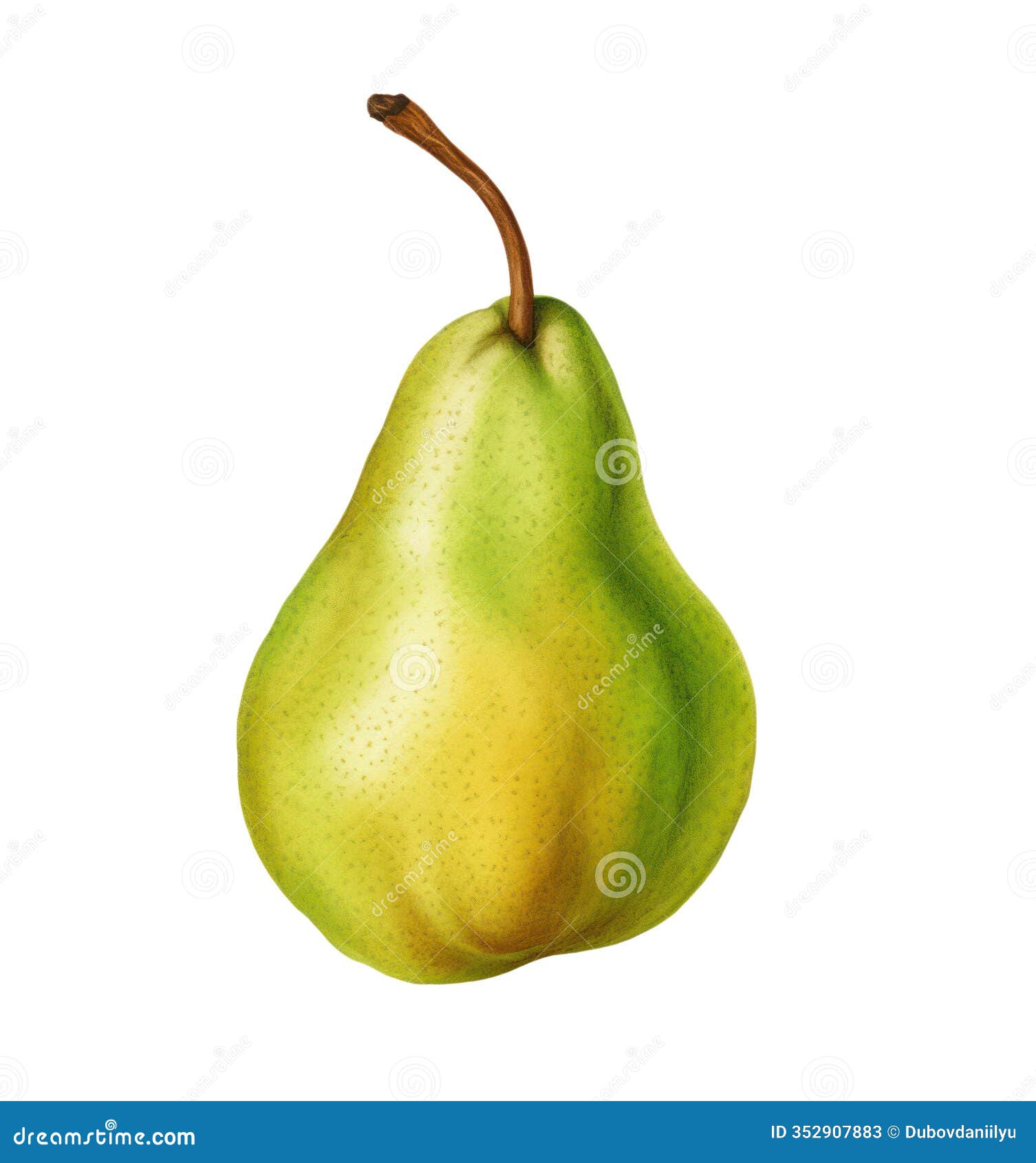 Pear Drawing Isolated. Back Hand-drawn Fruit Icon. Cartoon Vector ...