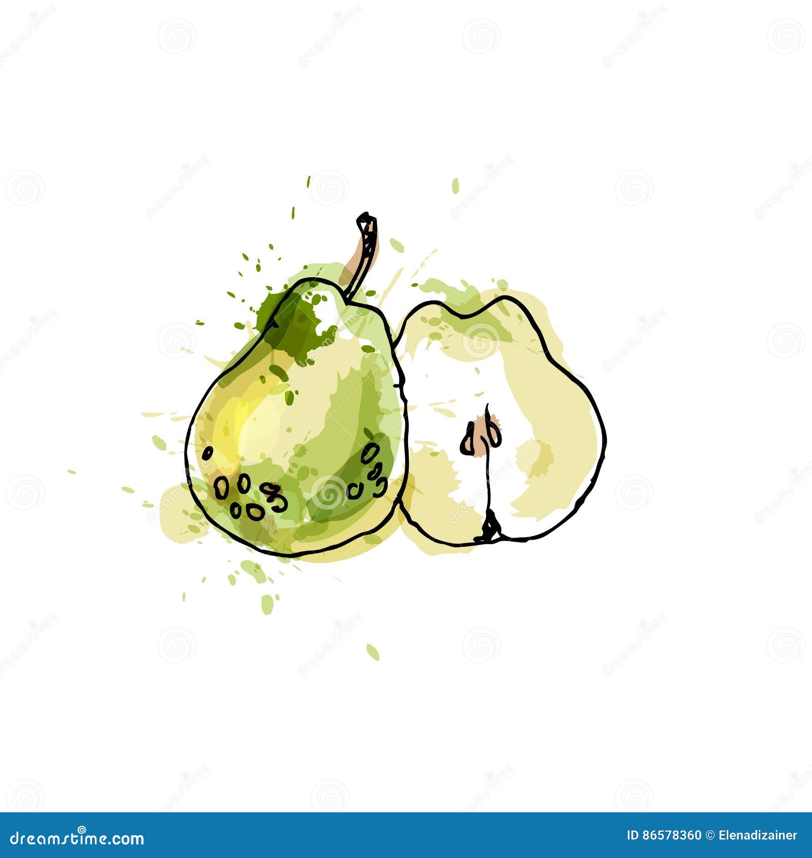 Pear Drawing Vector Illustration | CartoonDealer.com #93687632