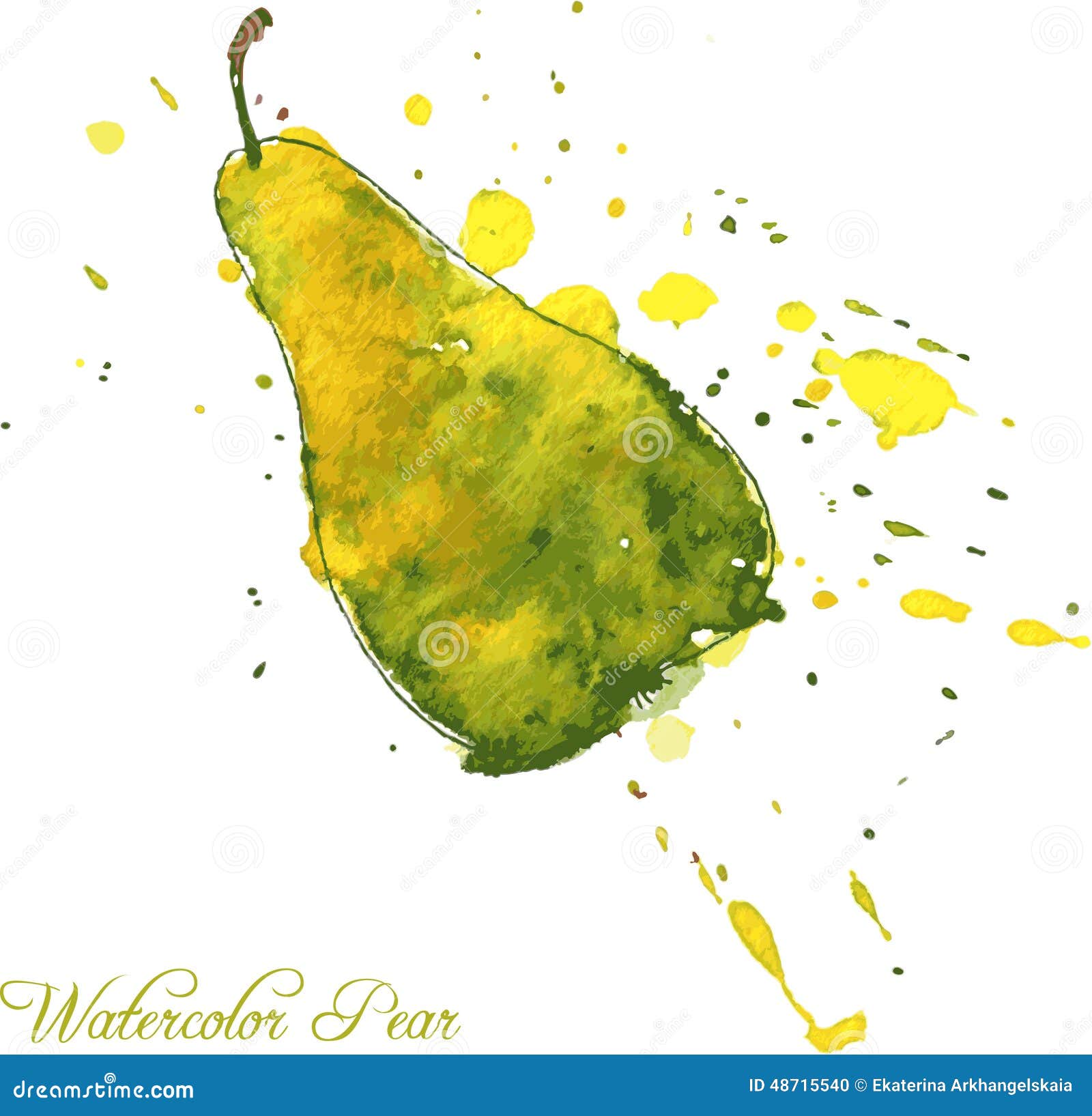 Pear drawing by watercolor stock vector. Illustration of pear - 48715540