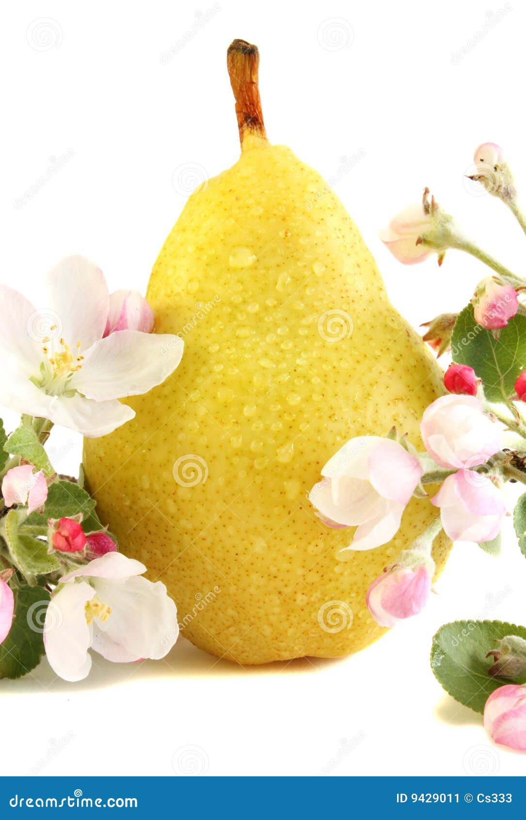 Pear and flowers stock image. Image of pear, vitamins - 9429011