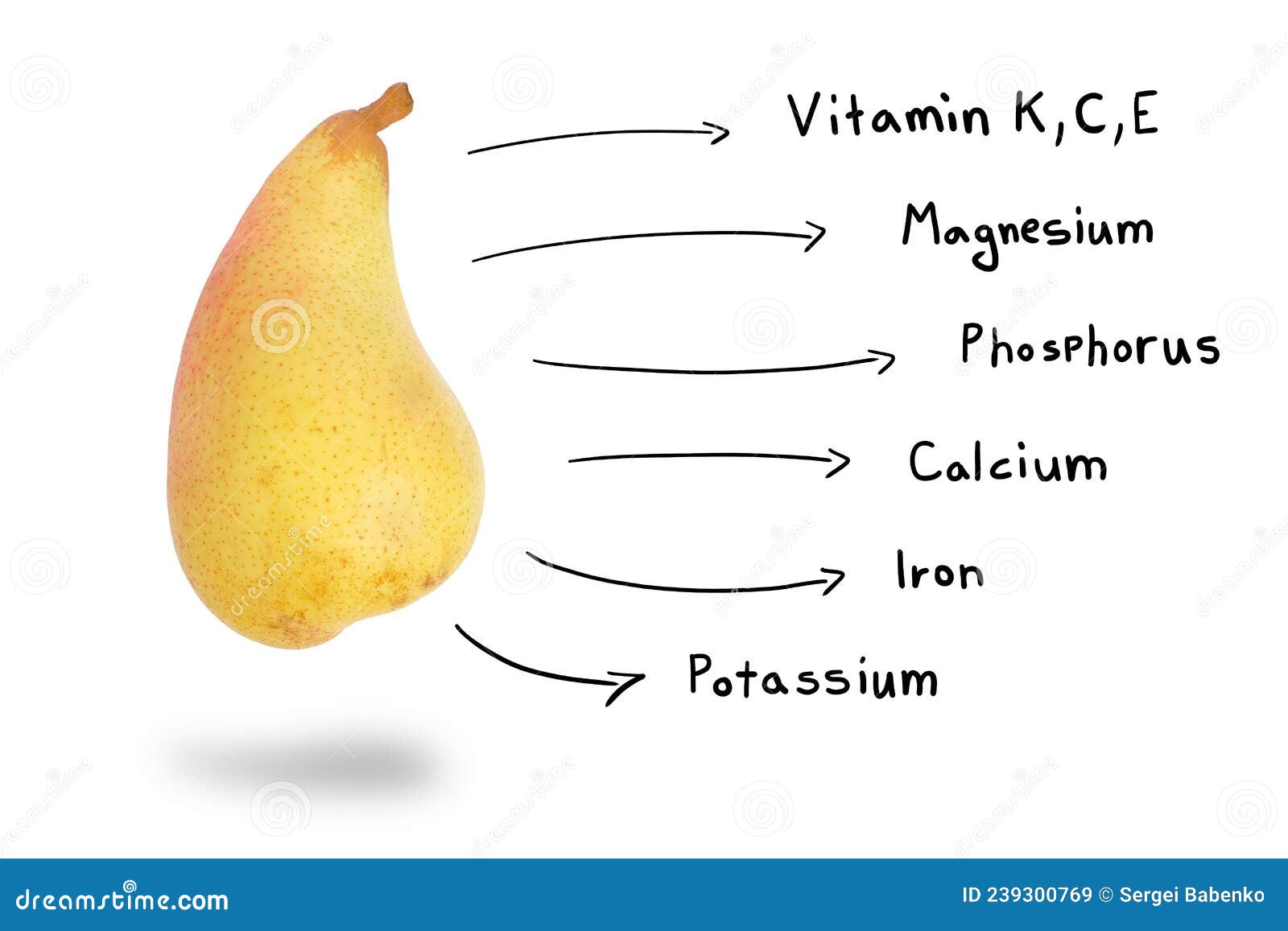 Pear Fruit Composition on Chemical Elements and Vitamins Stock Image ...