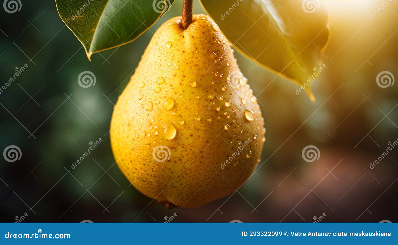 Pear Fruit on the Tree with Light Flare Glow Stock Illustration ...