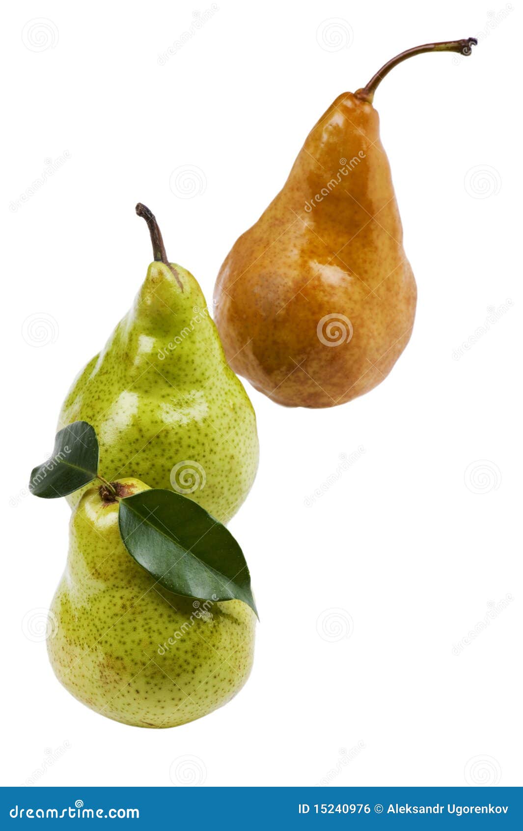 Pear isolated on white stock photo. Image of yellow, freshness - 15240976
