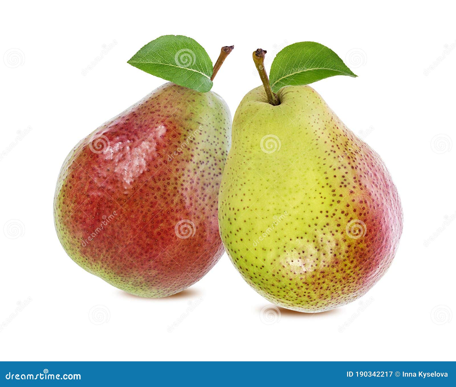 Pear isolated on white stock image. Image of vitamin - 190342217