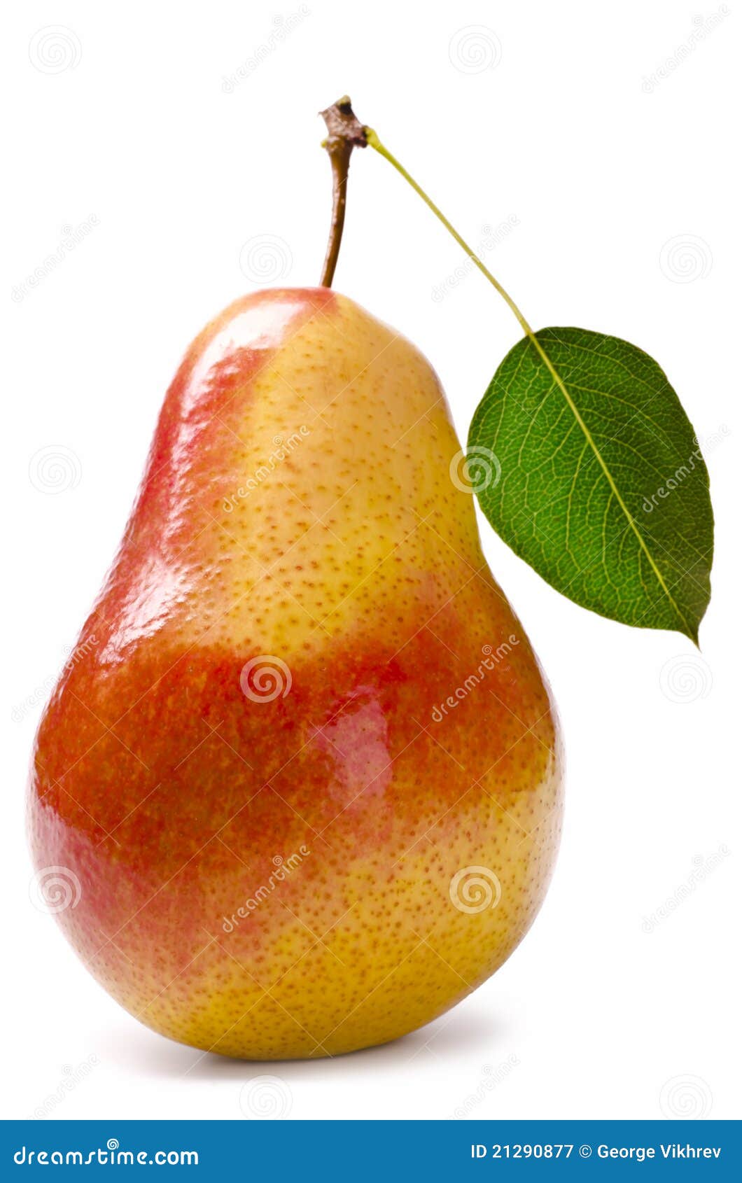 Pear with Leaf Isolated on White Stock Image - Image of brightly, close ...