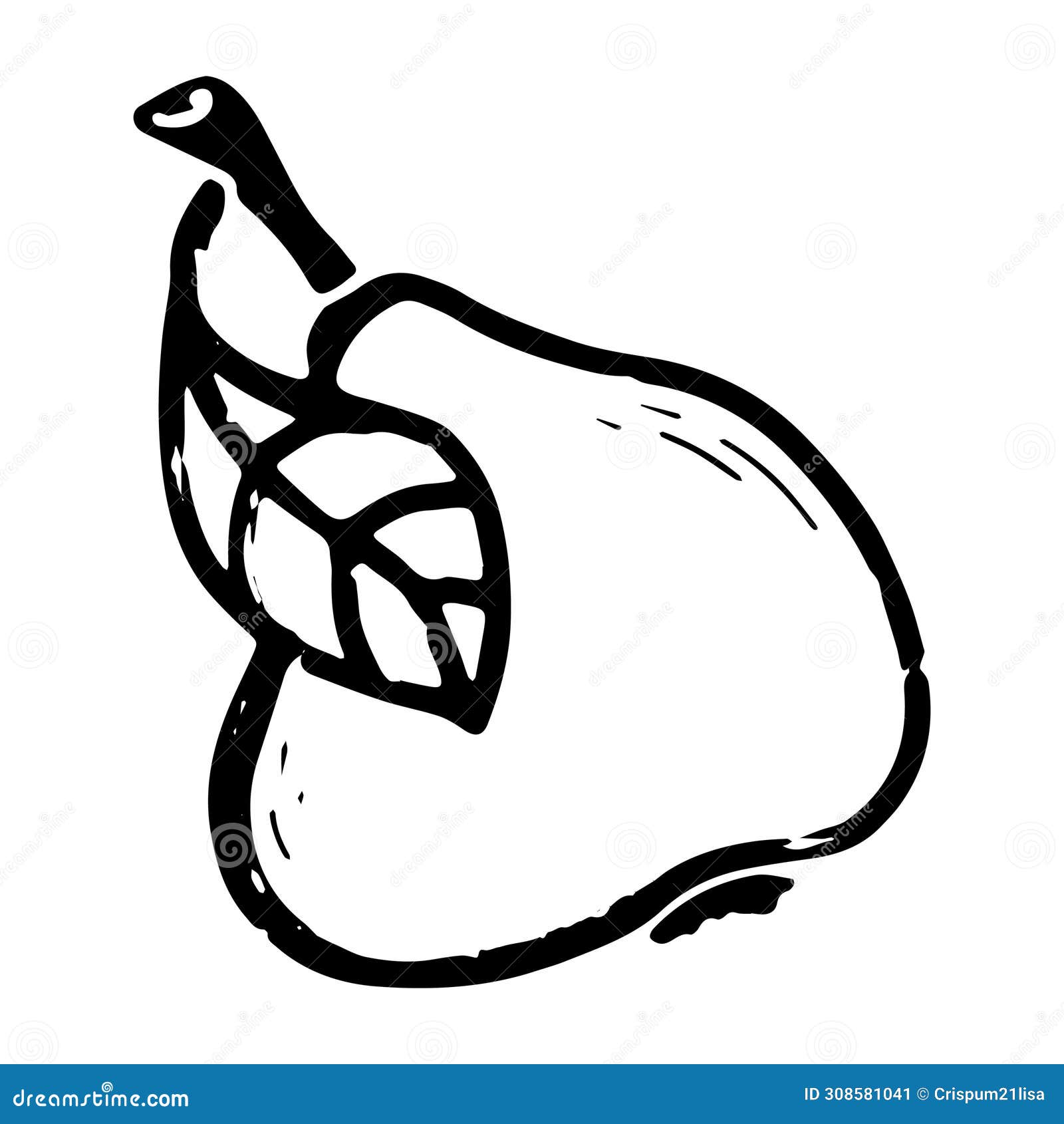 Pear. Line art stock vector. Illustration of organic - 308581041