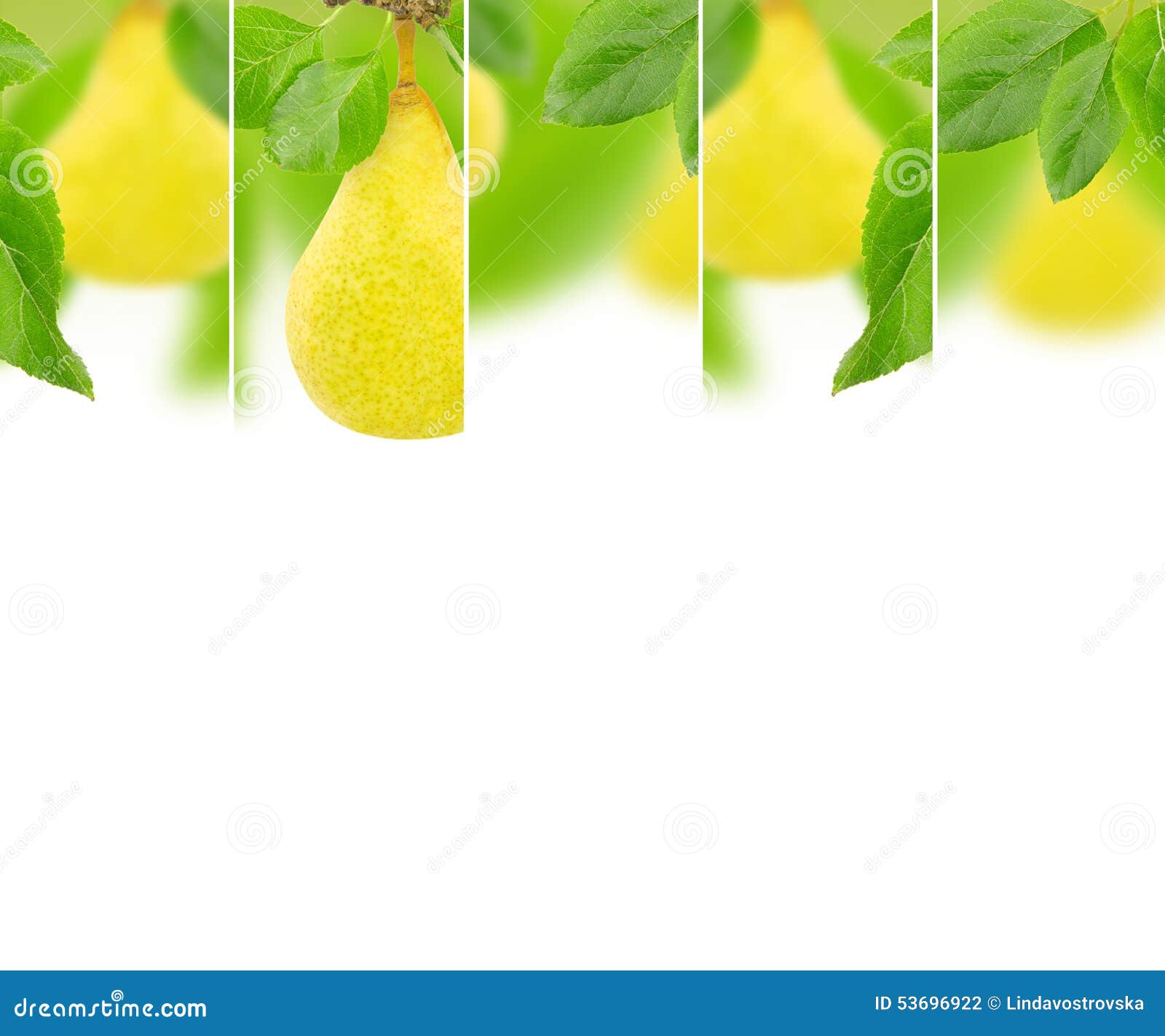 Pear mix stock photo. Image of pear, juicy, agriculture - 53696922