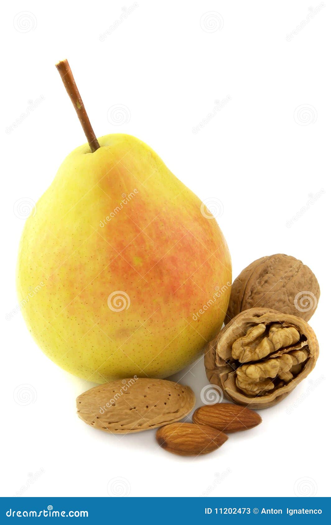 Pear and nuts stock image. Image of pear, vegetarian - 11202473