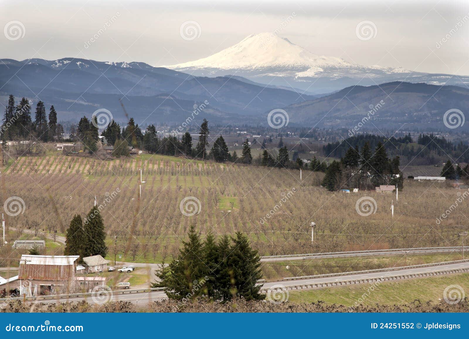 Pear Orchard in Hood River Oregon Stock Photo - Image of gorge, tourism ...