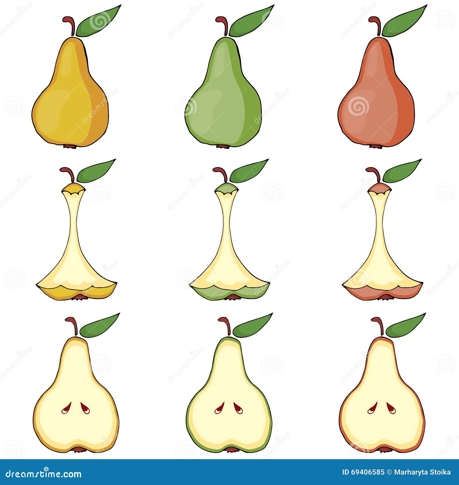 Pear, Pear Core, Half Pear Vector. Stock Vector - Illustration of ...