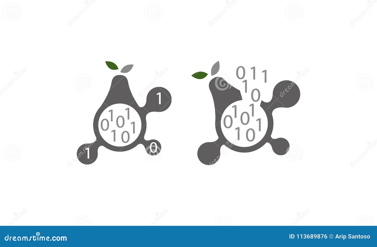 Pear Program Code Connection Set Stock Vector - Illustration of coding, collection: 113689876