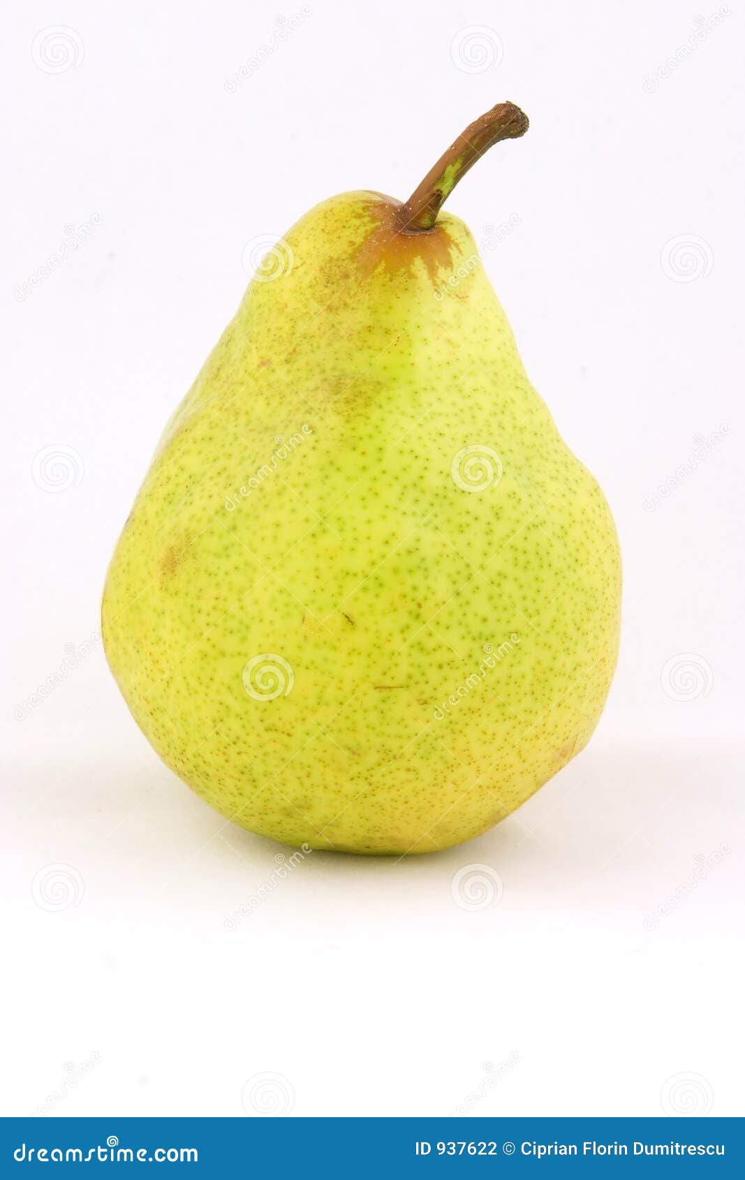 Pear single stock photo. Image of fruit, sweet, garden - 937622