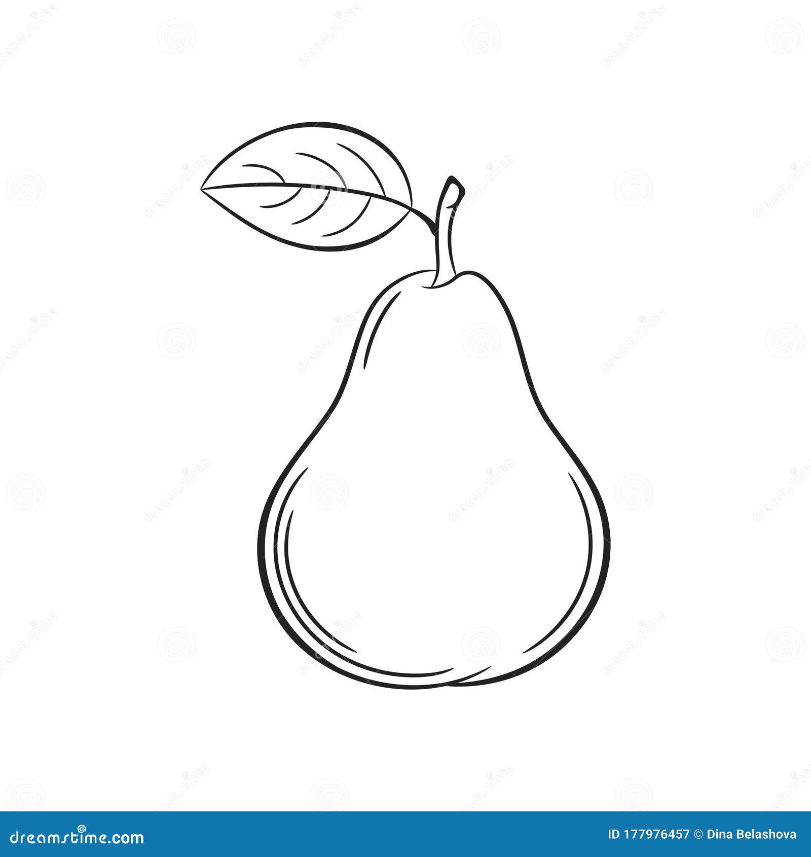 Pear Sketch. Hand Drawn Fruit Illustration Stock Vector - Illustration ...